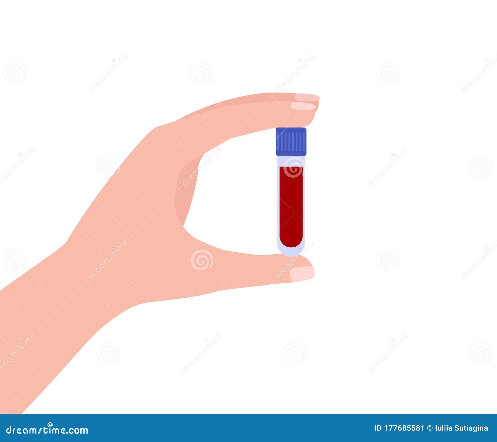 Phlebotomy Vector Illustration. Labeled Veins Blood Samples Process ...