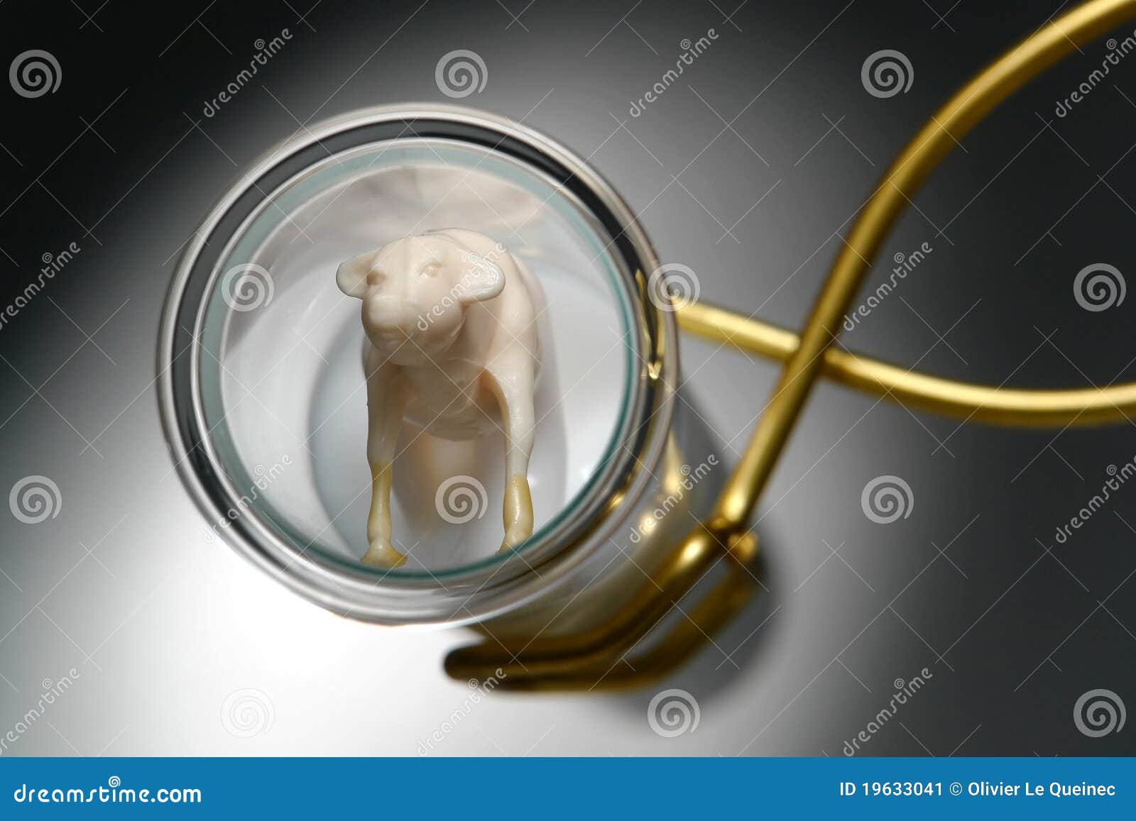 Test Tube Calf in Genetic Science Research Lab Stock Image - Image of ...