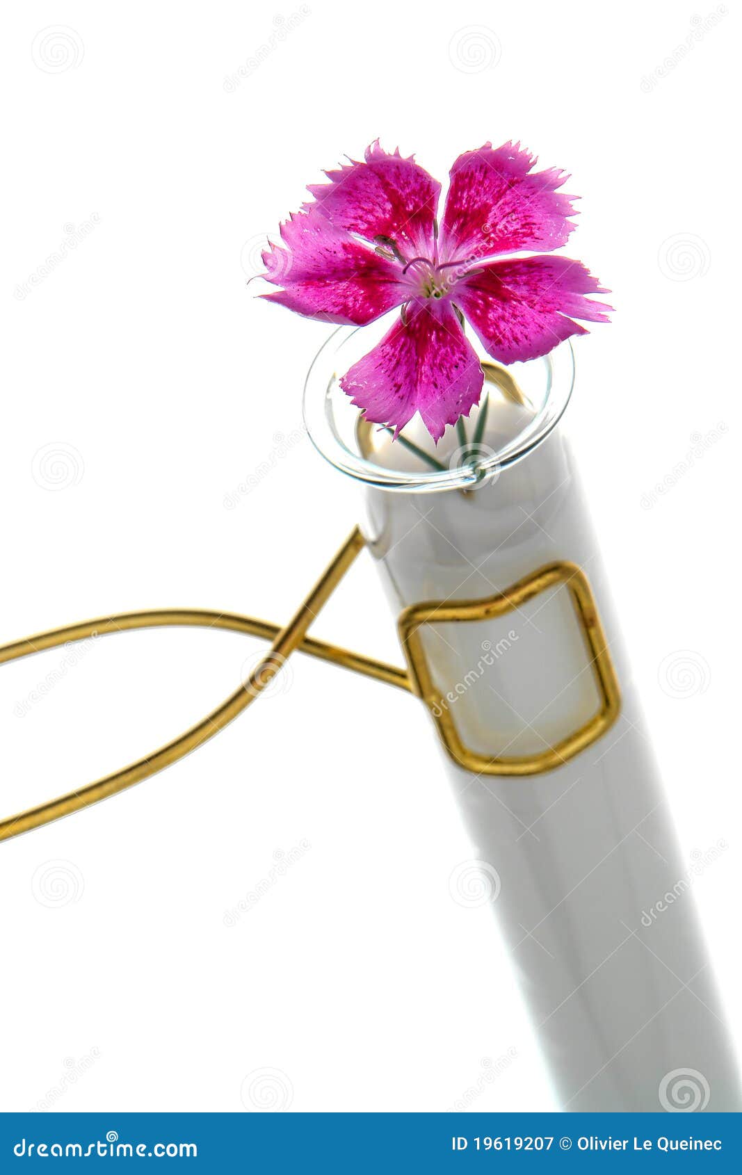 Test Tube Flower Experiment Isolated Stock Image - Image of scientific ...