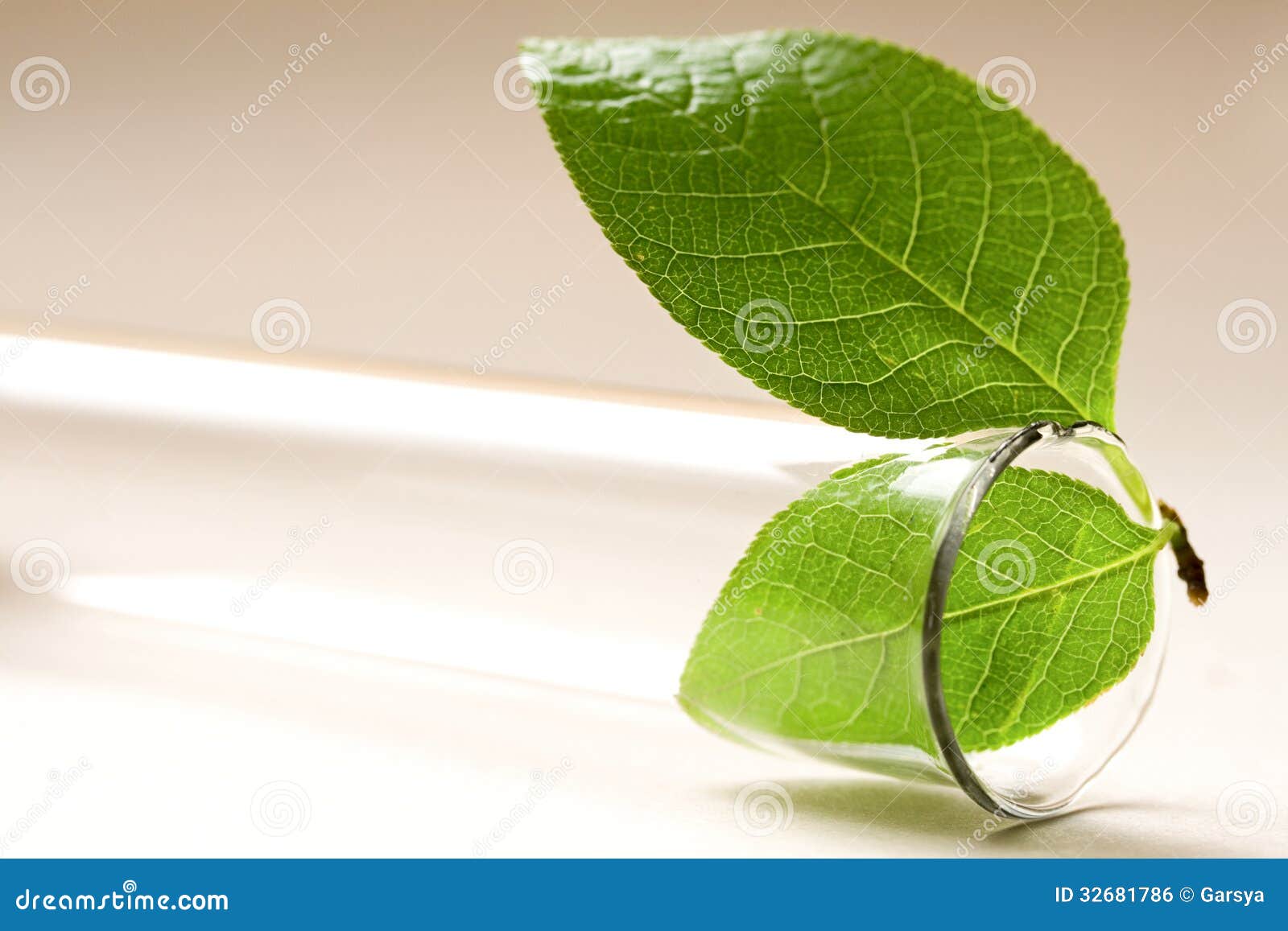 Test tube and leaf stock photo. Image of biochemistry - 32681786