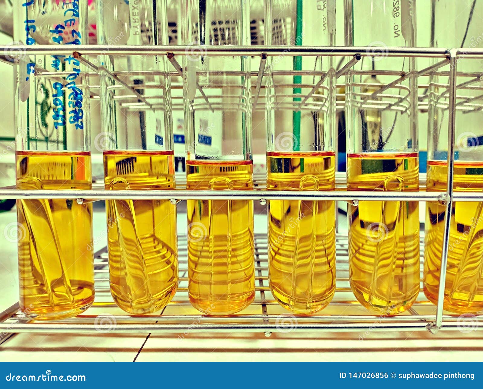 Test Tube Of LST Broth For Coliform Test In Food Factory Lab Stock ...