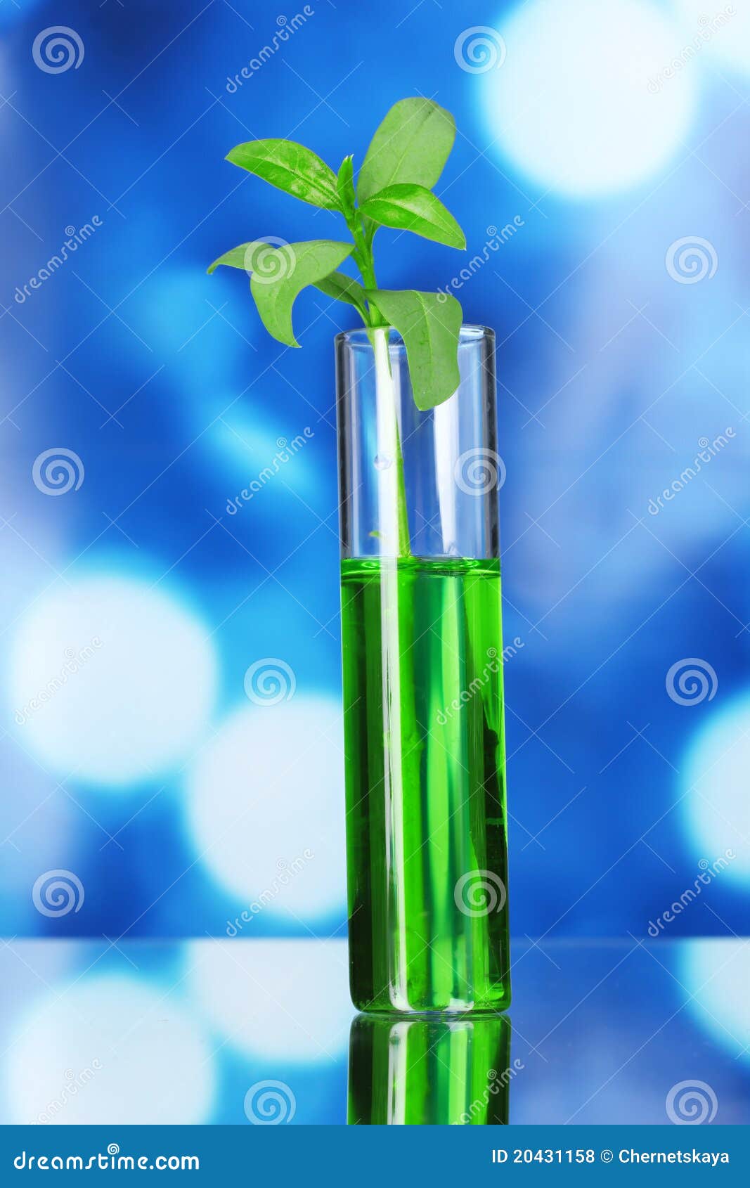 Test tube with plants stock photo. Image of liquid, biological - 20431158