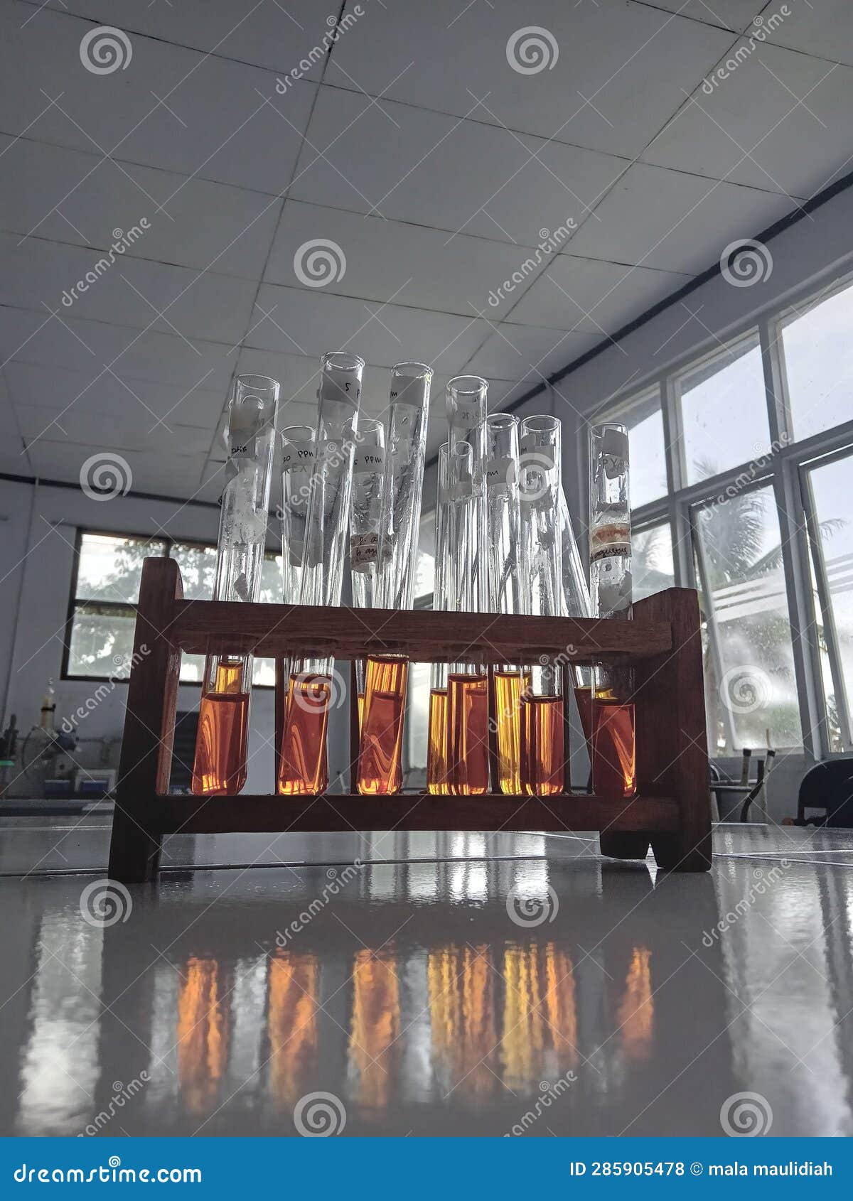 Test Tube with Positive Control Sample Stock Photo - Image of tube ...