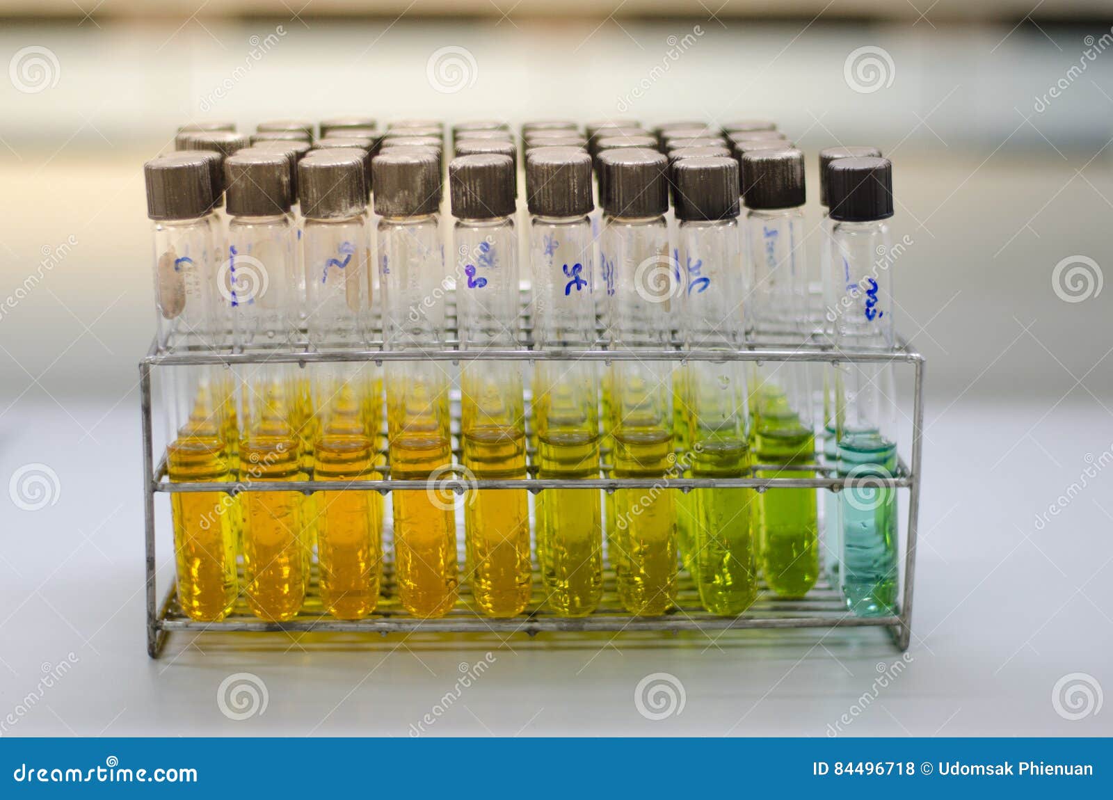 Test Tube Rack at Laboratory Stock Photo - Image of flask, beaker: 84496718