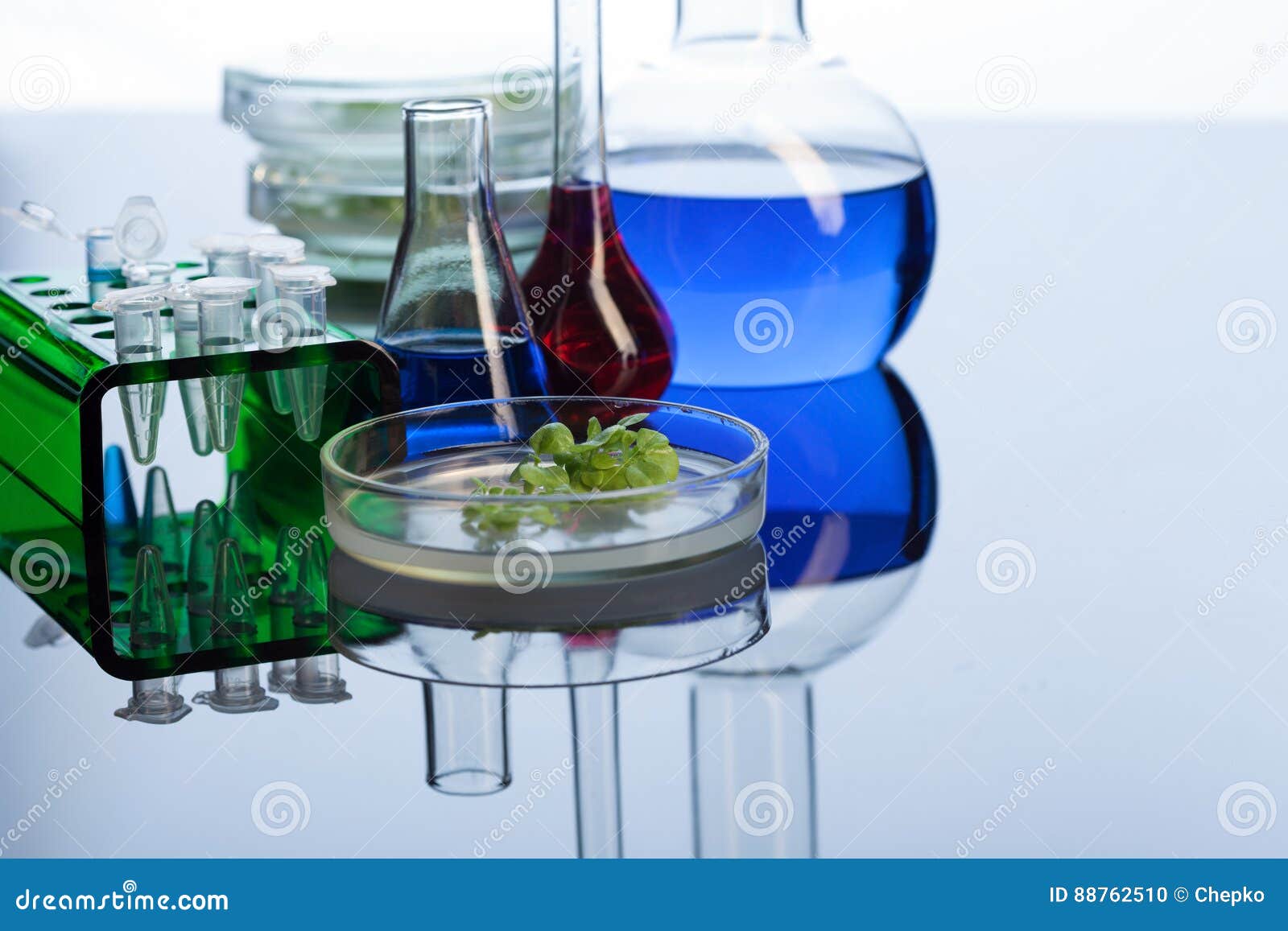 Test Tube Retotr and Green Sprout Stock Photo - Image of closeup ...