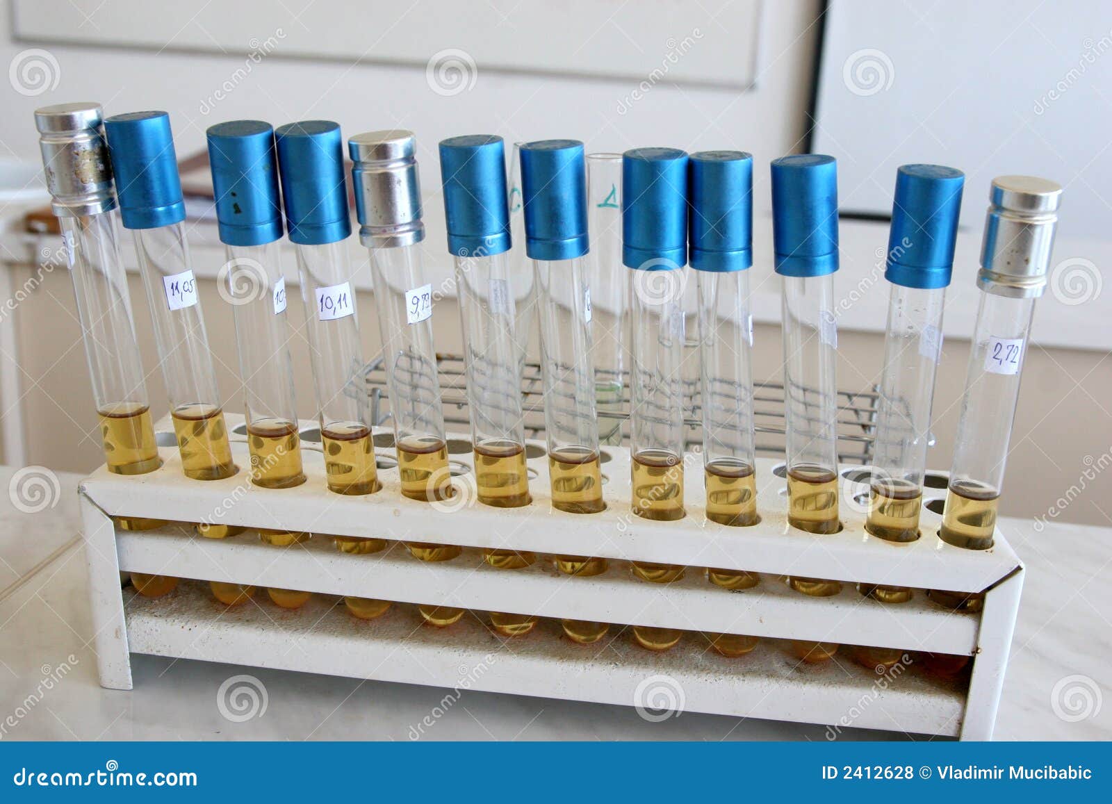 Test tubes stock photo. Image of research, medical, biology - 2412628