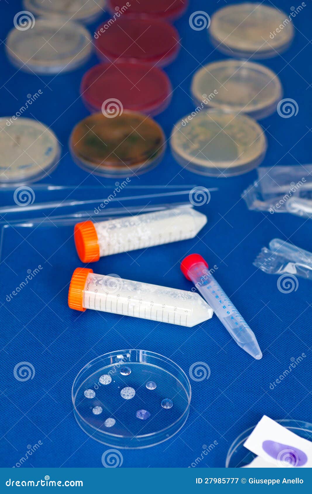 Test tubes stock image. Image of nurse, experiment, biology - 27985777