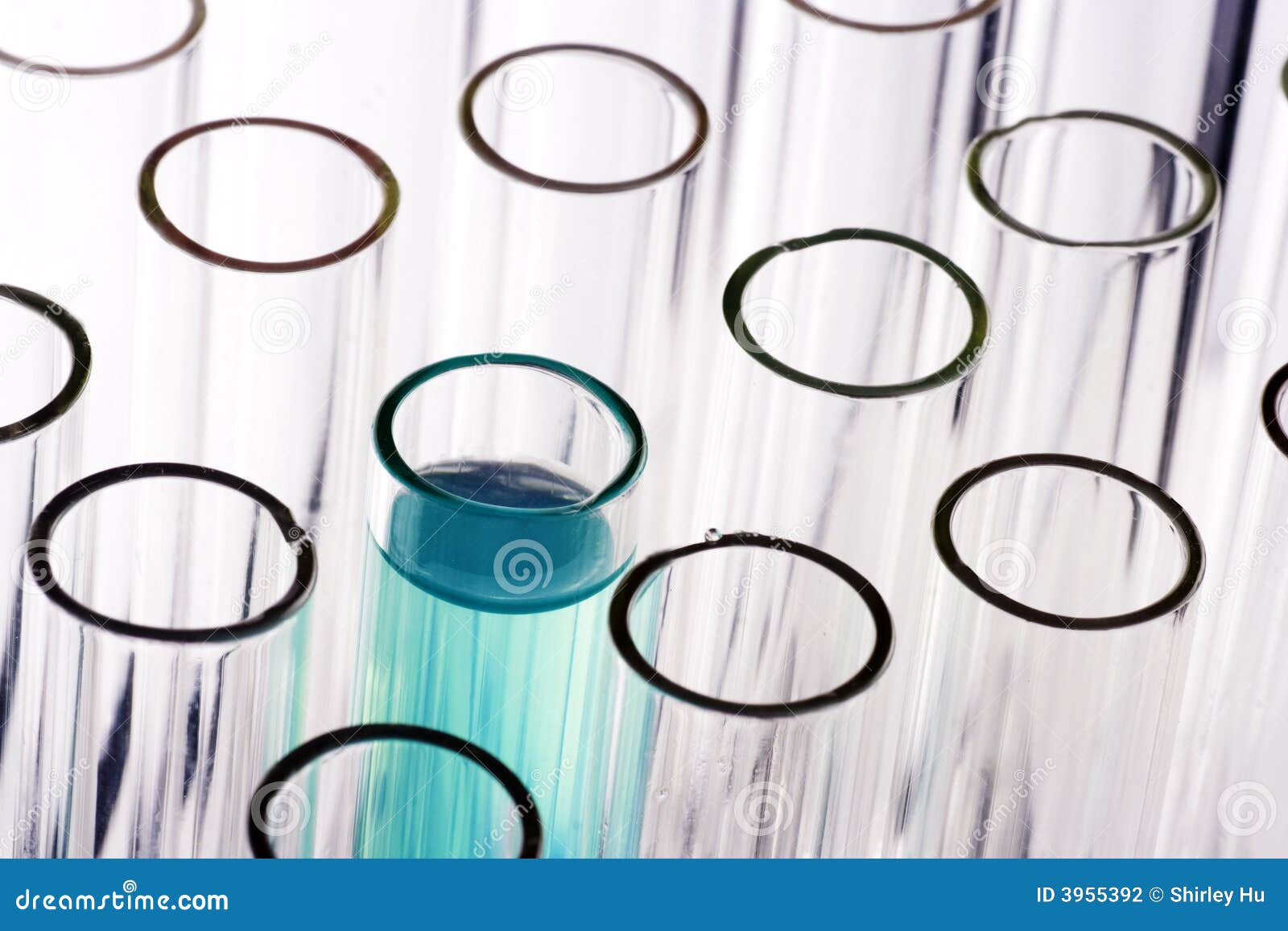Test tubes stock photo. Image of microbiology, laboratory - 3955392