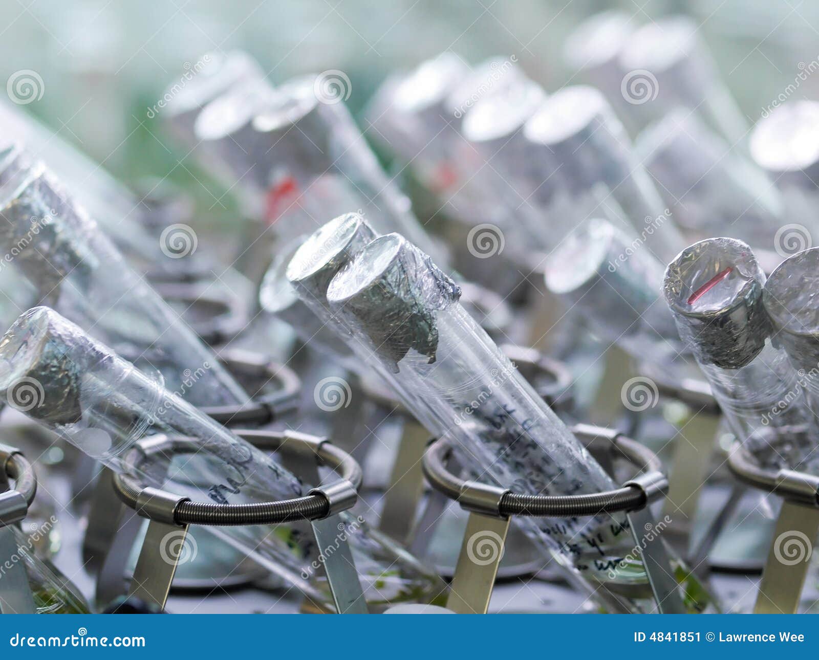 Test Tubes stock image. Image of daylight, experimentation - 4841851