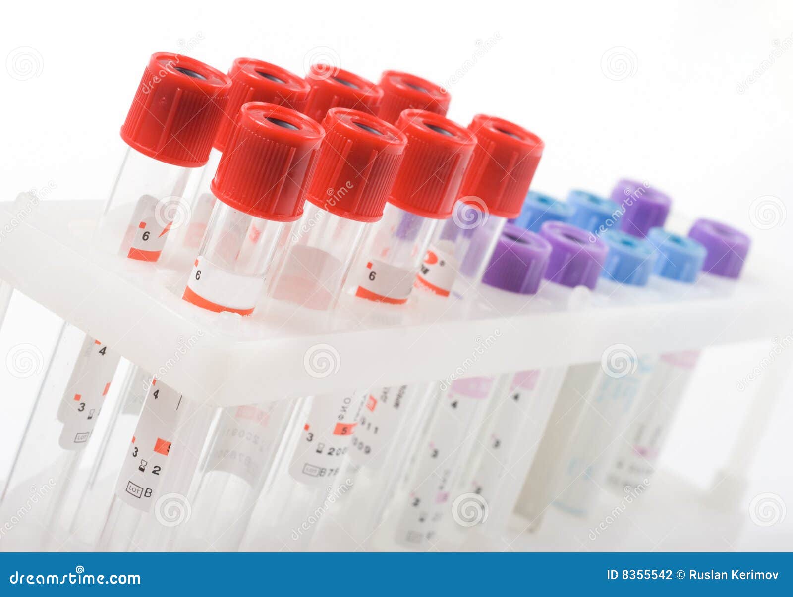 Test tubes stock photo. Image of method, focus, group - 8355542
