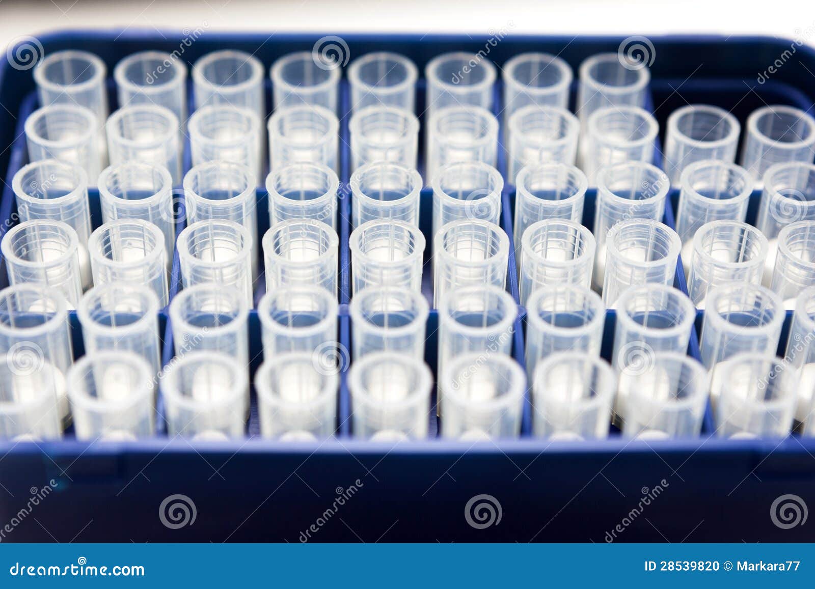 Test-tubes in bio lab stock photo. Image of chemistry - 28539820