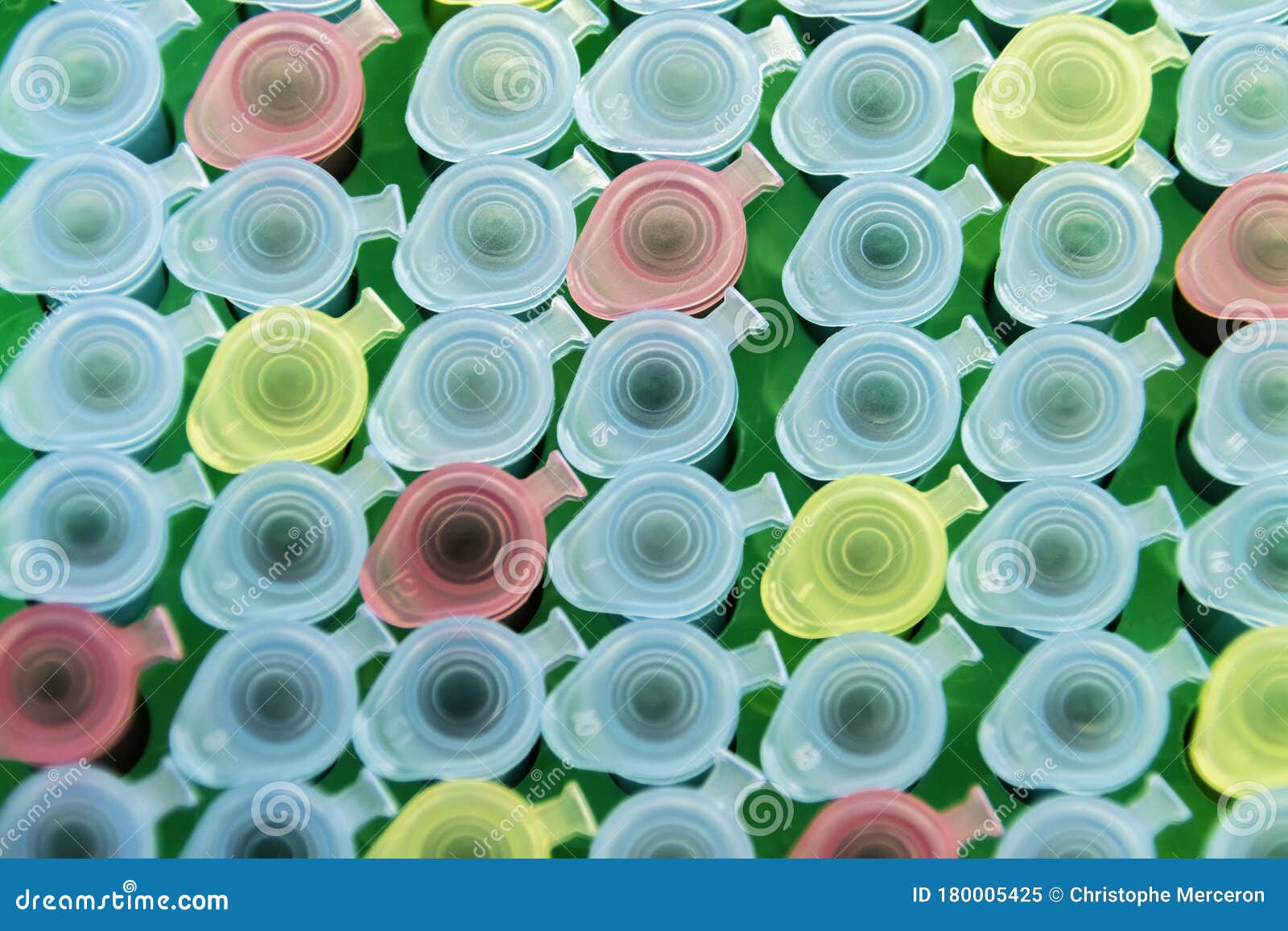 Test Tubes in a Biology Laboratory Stock Image - Image of test, samples ...