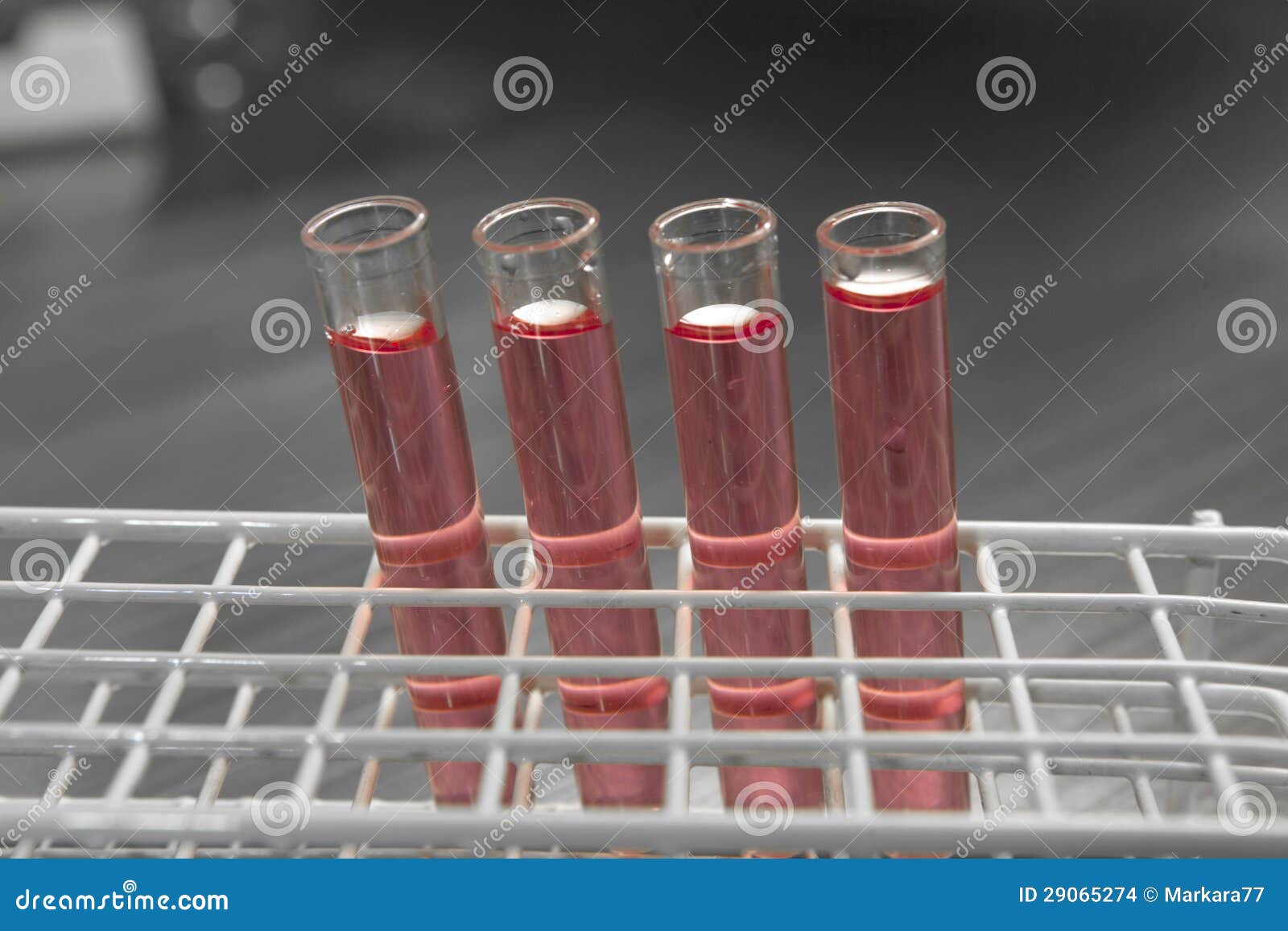 Test-tubes with Blood Sample in Bio Lab Stock Photo - Image of analysis ...