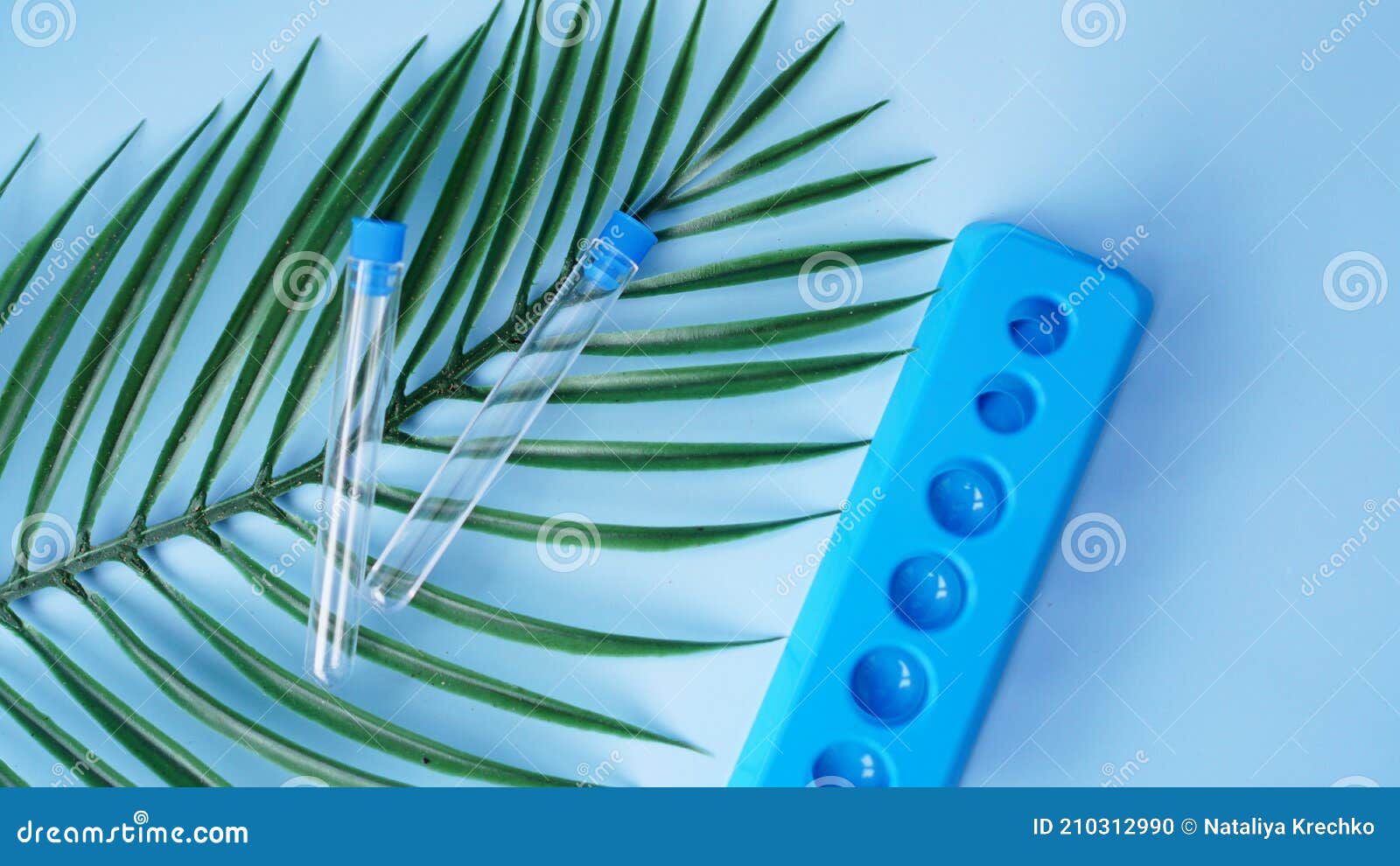 Test Tubes on a Blue Background. Tropical Leaf Stock Photo - Image of ...