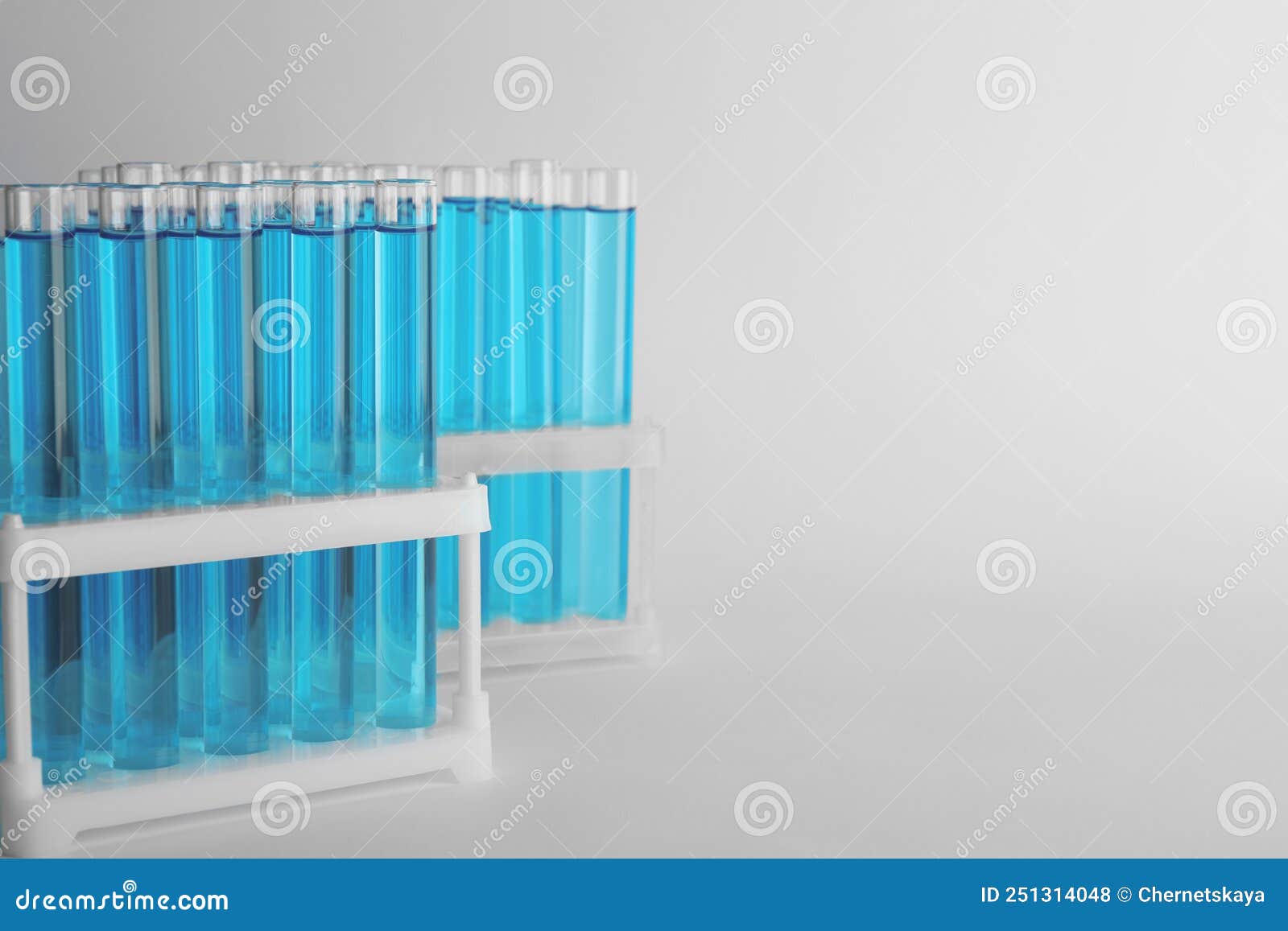 Test Tubes with Blue Liquid on Light Grey Background. Space for Text ...