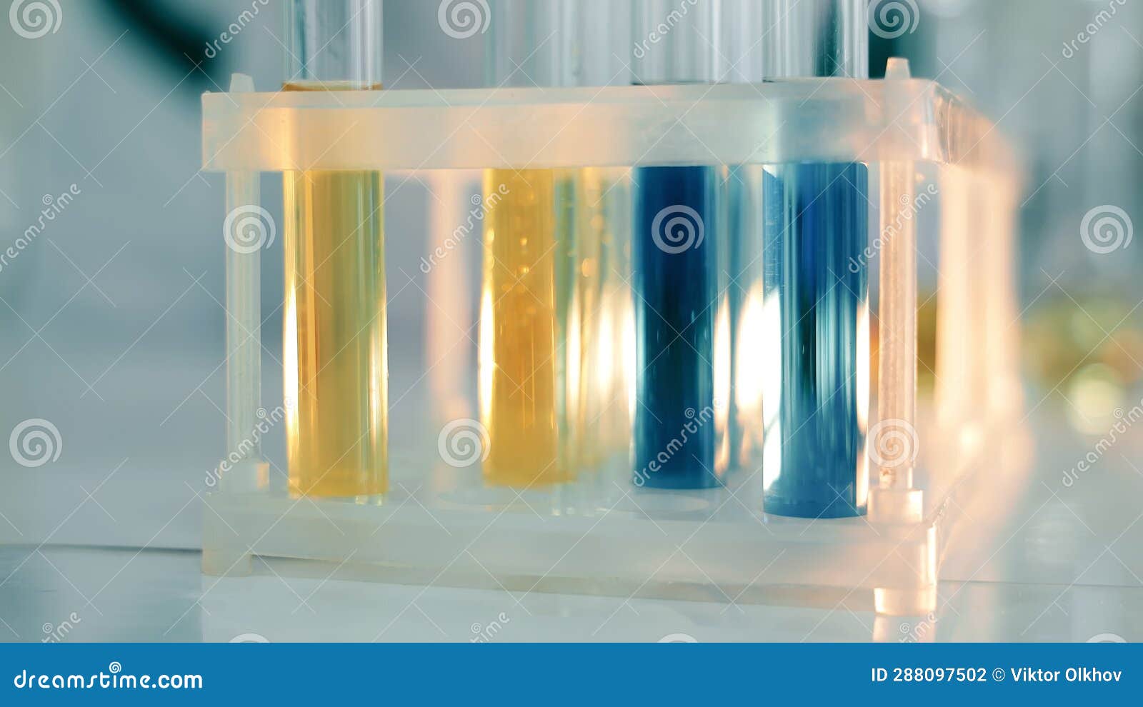 Test Tubes with Blue and Yellow Substance in the Laboratory. Work in ...