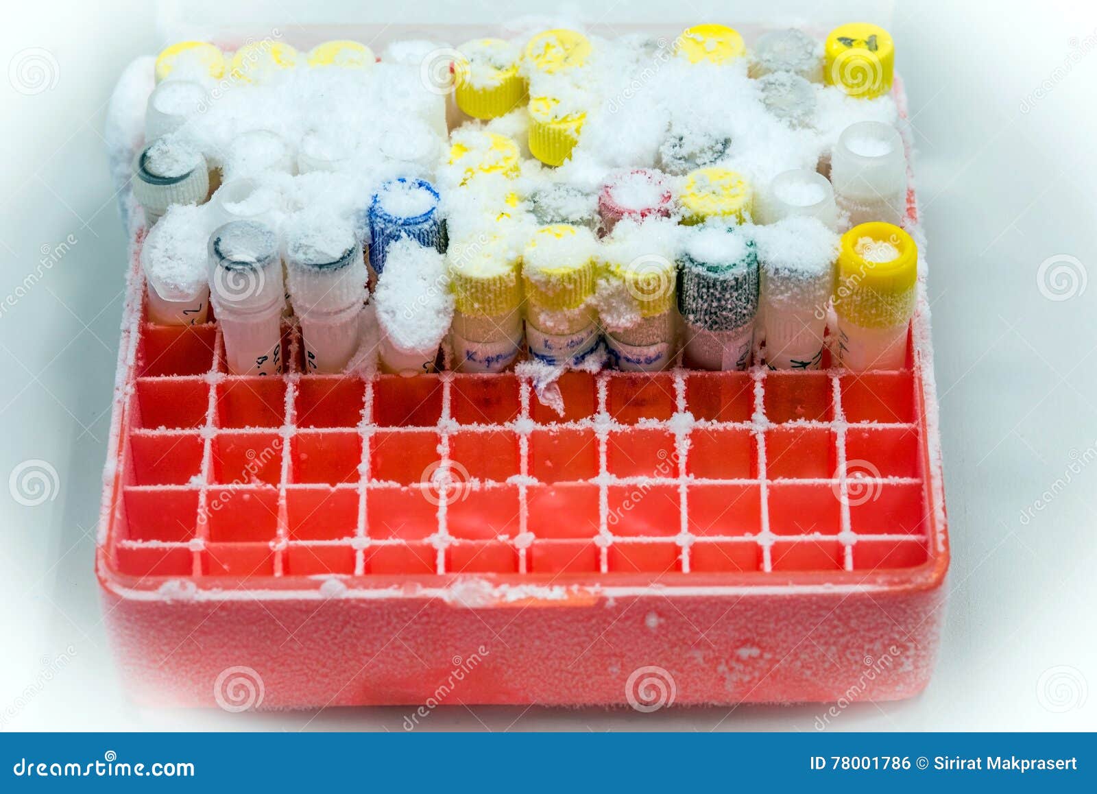 Test tubes in box. stock photo. Image of medical, nurse - 78001786