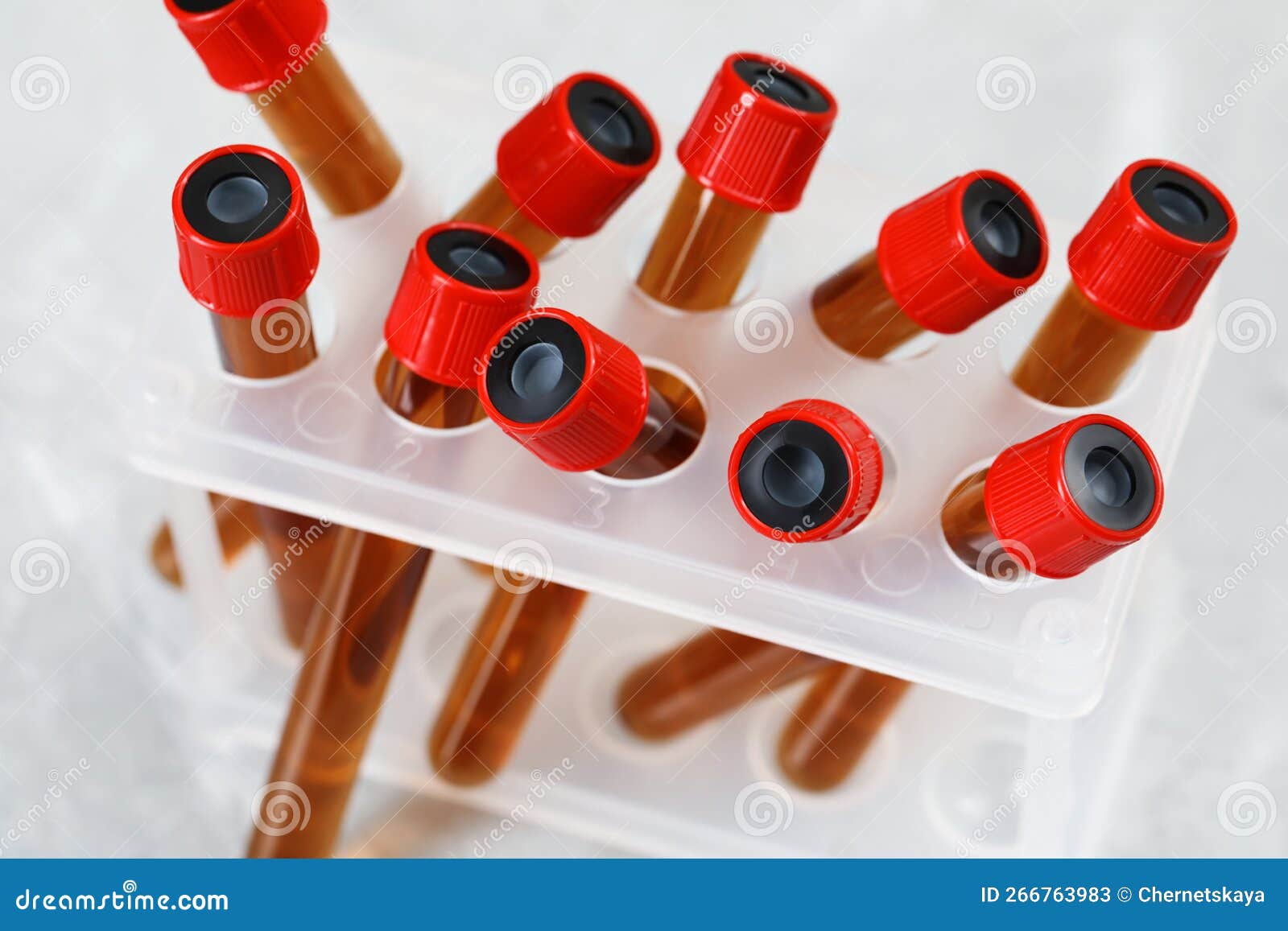 Test Tubes with Brown Liquid in Stand, Closeup Stock Image - Image of ...