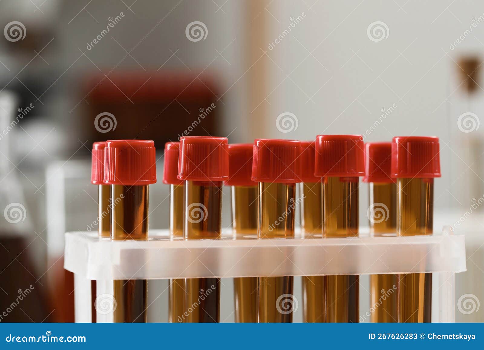 Test Tubes with Brown Liquid in Stand, Closeup Stock Image - Image of ...