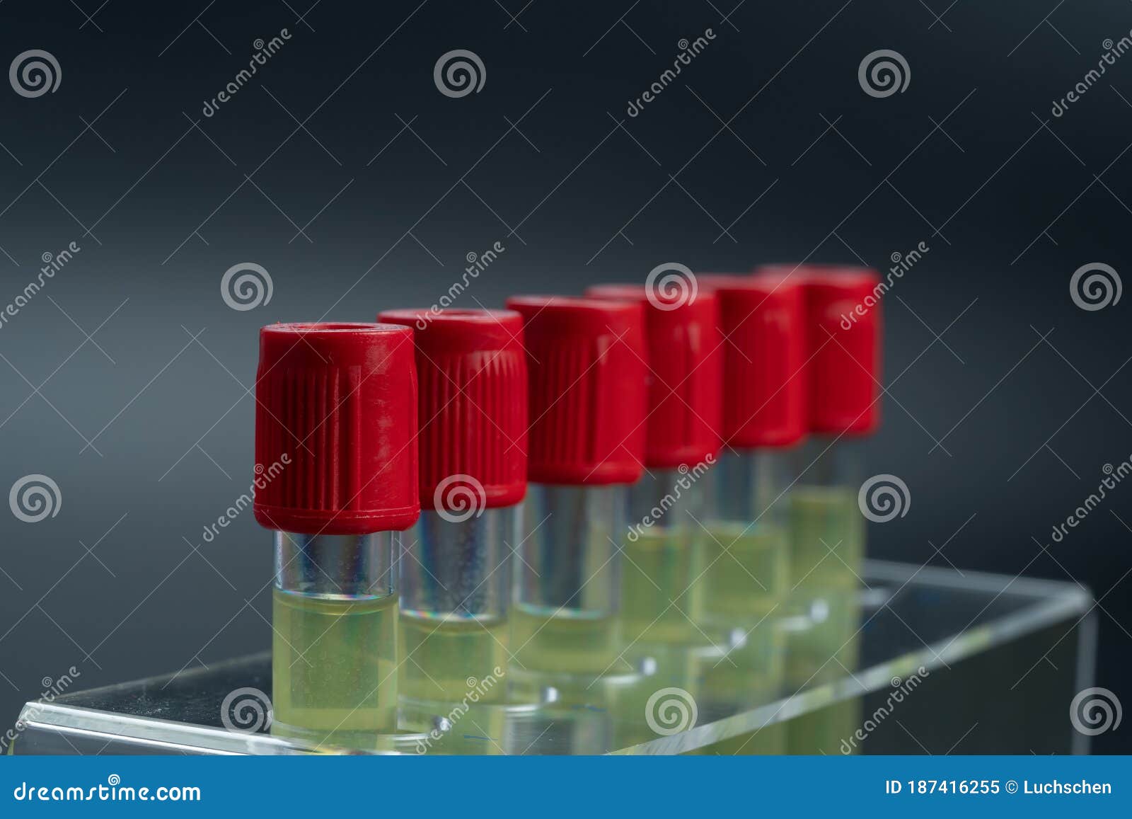 Test Tubes with Chemical Samples Stock Image - Image of biotechnology ...