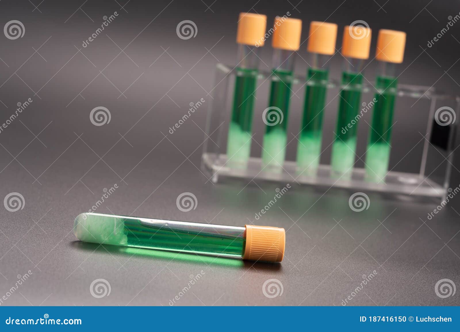 Test Tubes with Chemical Samples Stock Photo - Image of close, chemical ...
