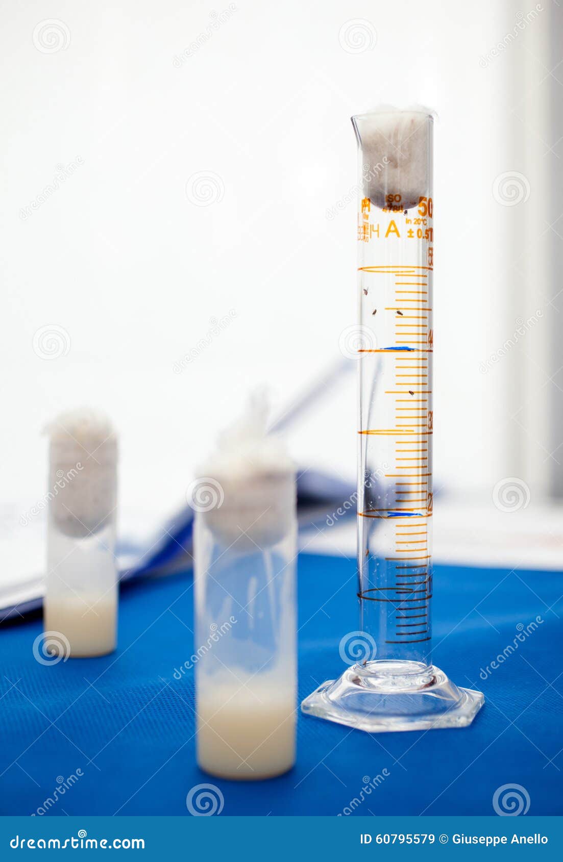 Pipette Extracting Sample From Blood Collection Tube With Positive ...