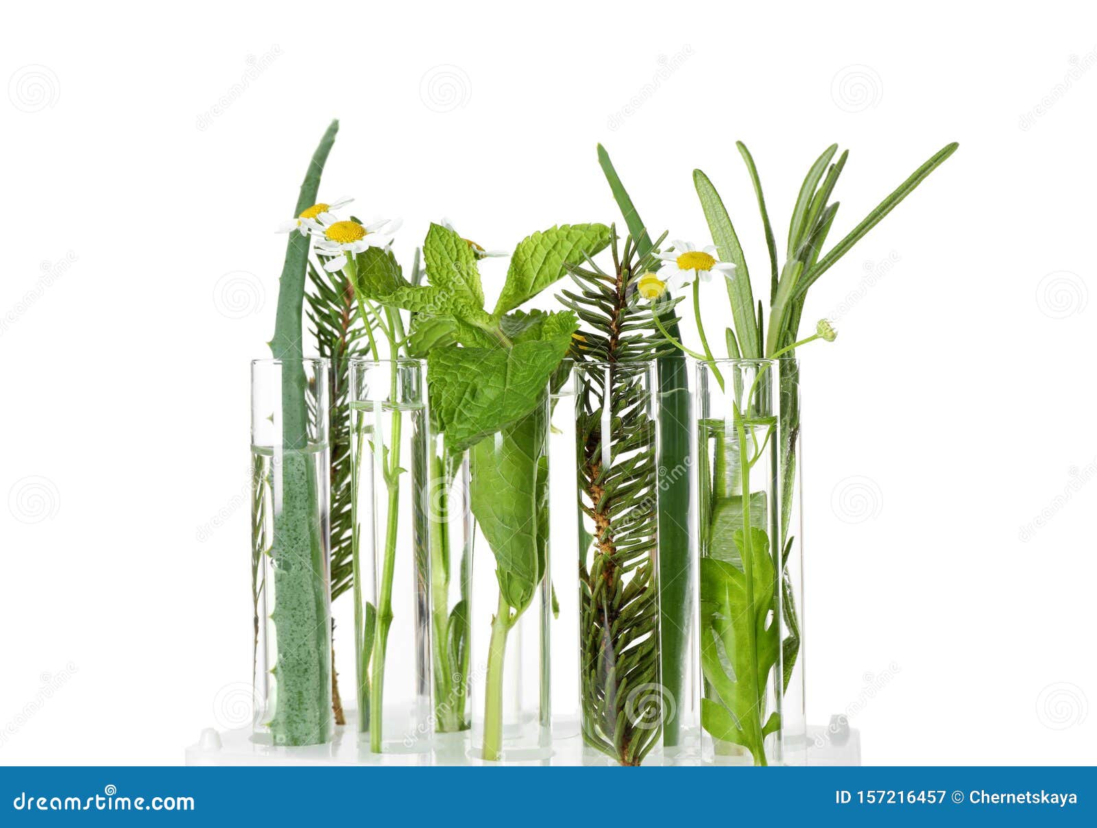Test Tubes of Different Oils with Plants on White Background Stock ...