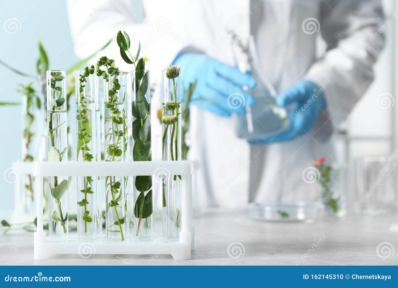 Test Tubes with Different Plants on Table Stock Photo - Image of test ...