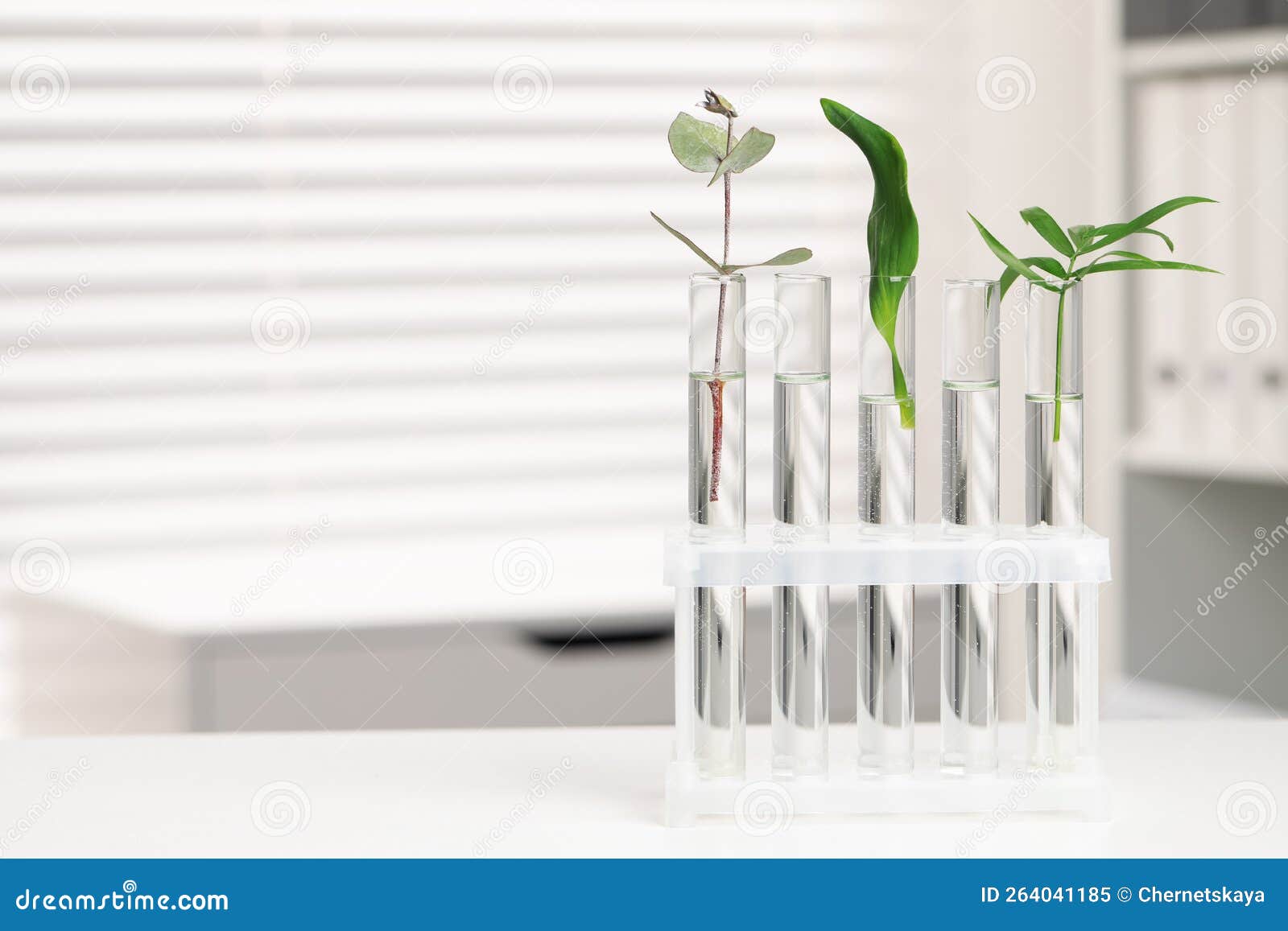 Test Tubes with Different Plants on White Table in Laboratory. Space ...