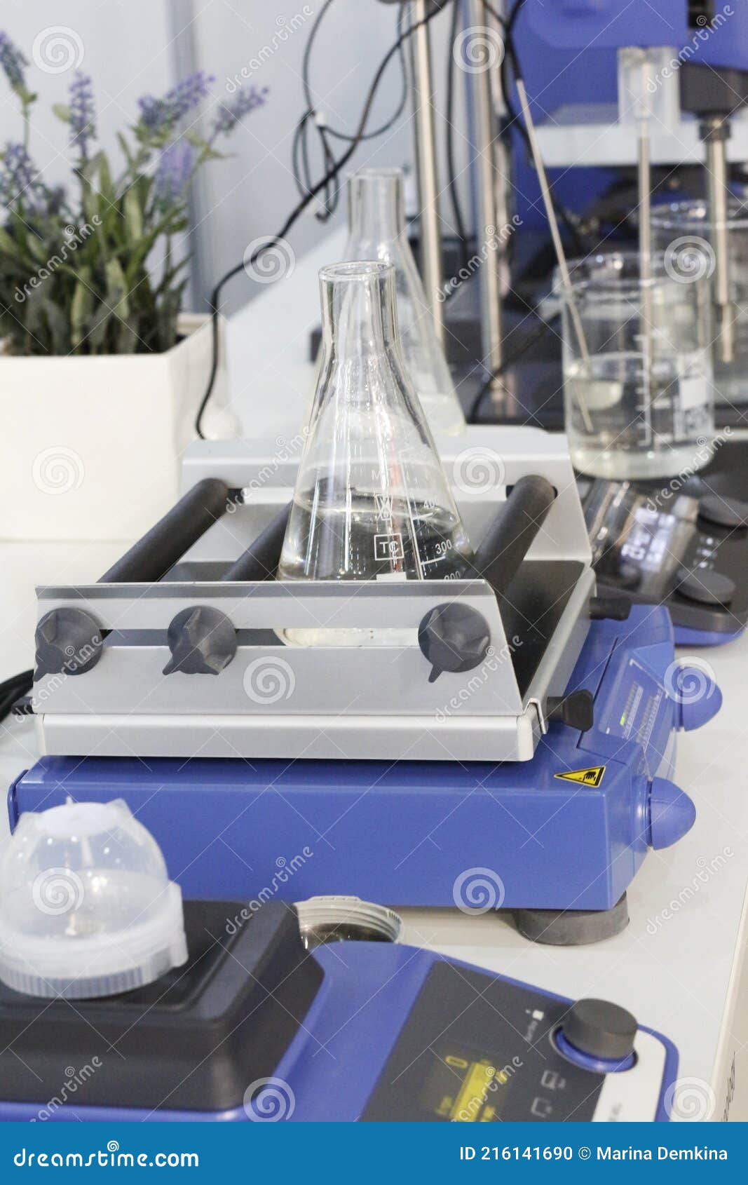Test Tubes and Flasks - Laboratory Glassware. Chemical Laboratory ...