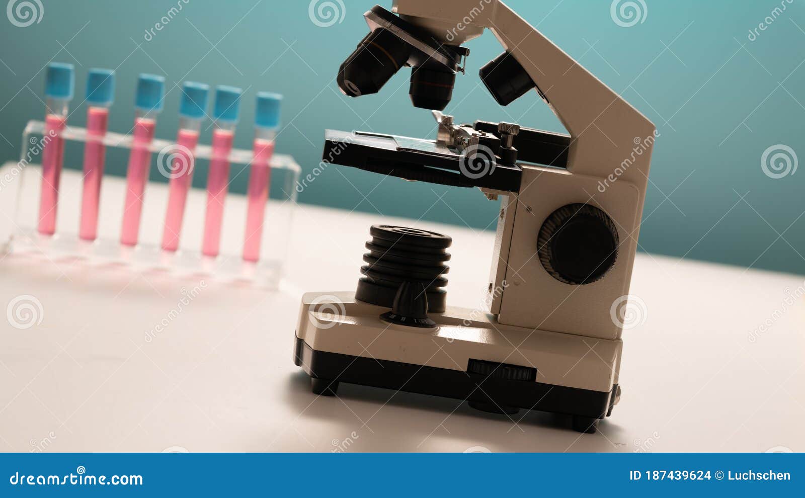 Test Tubes and Flasks and Microscope in a Chemical Laboratory Stock ...