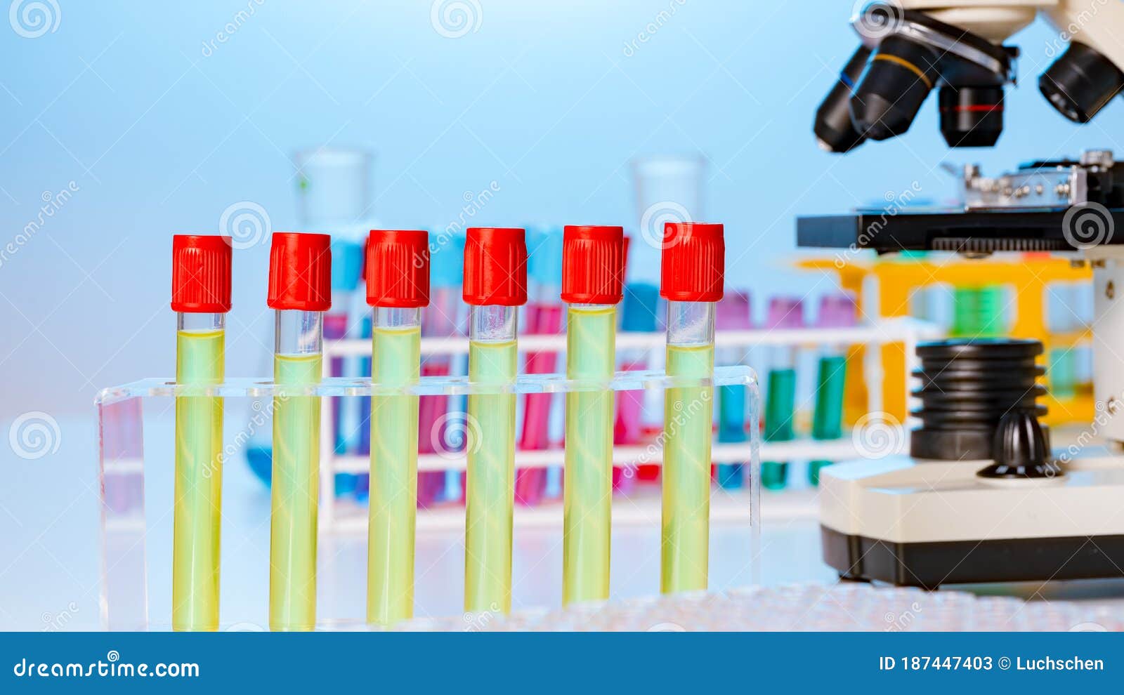 Test Tubes and Flasks and Microscope in a Chemical Laboratory Stock ...