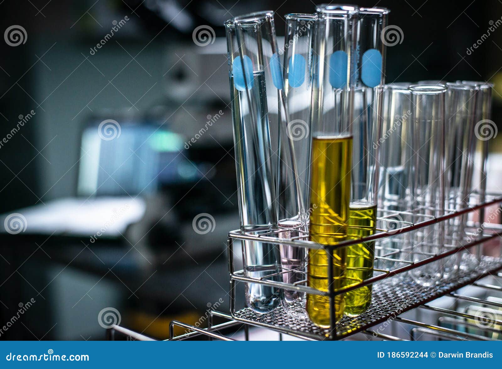 Test Tubes with Yellow Fluid Stock Photo - Image of research, medicine ...