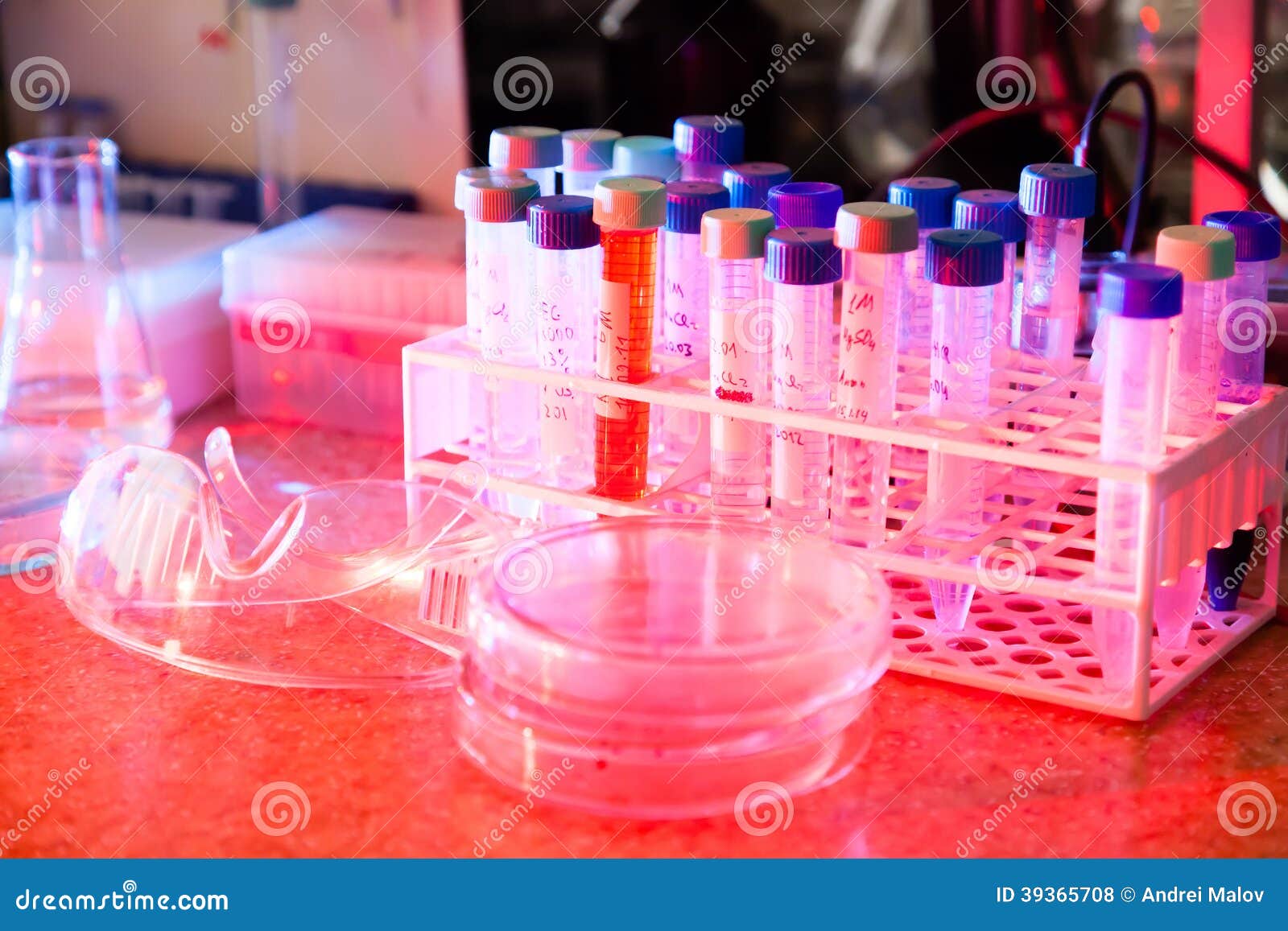 Test Tubes in the Laboratory Stock Photo - Image of industry, bottle ...
