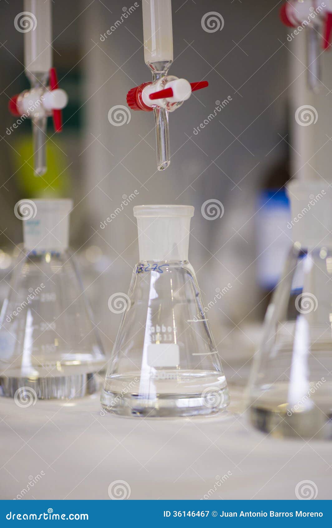 Test tubes in a laboratory stock image. Image of instrument - 36146467