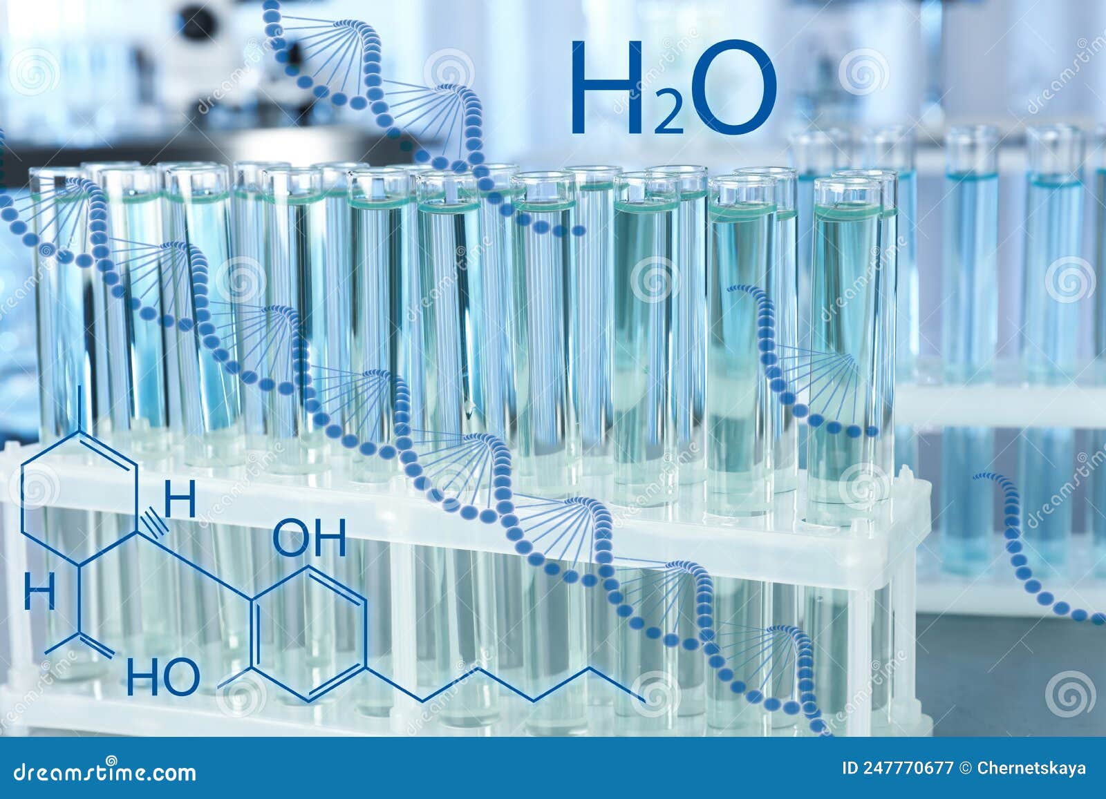 Test Tubes with Liquid in Laboratory, Closeup View Stock Image - Image ...