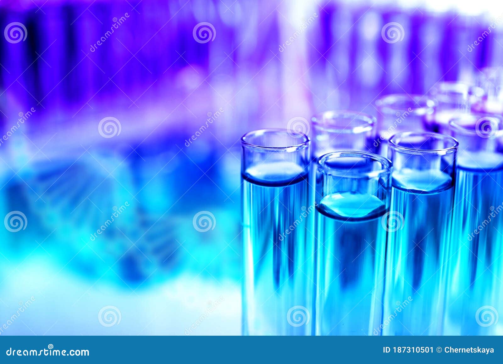 Test Tubes with Liquid Samples for Analysis in Laboratory. Space for ...