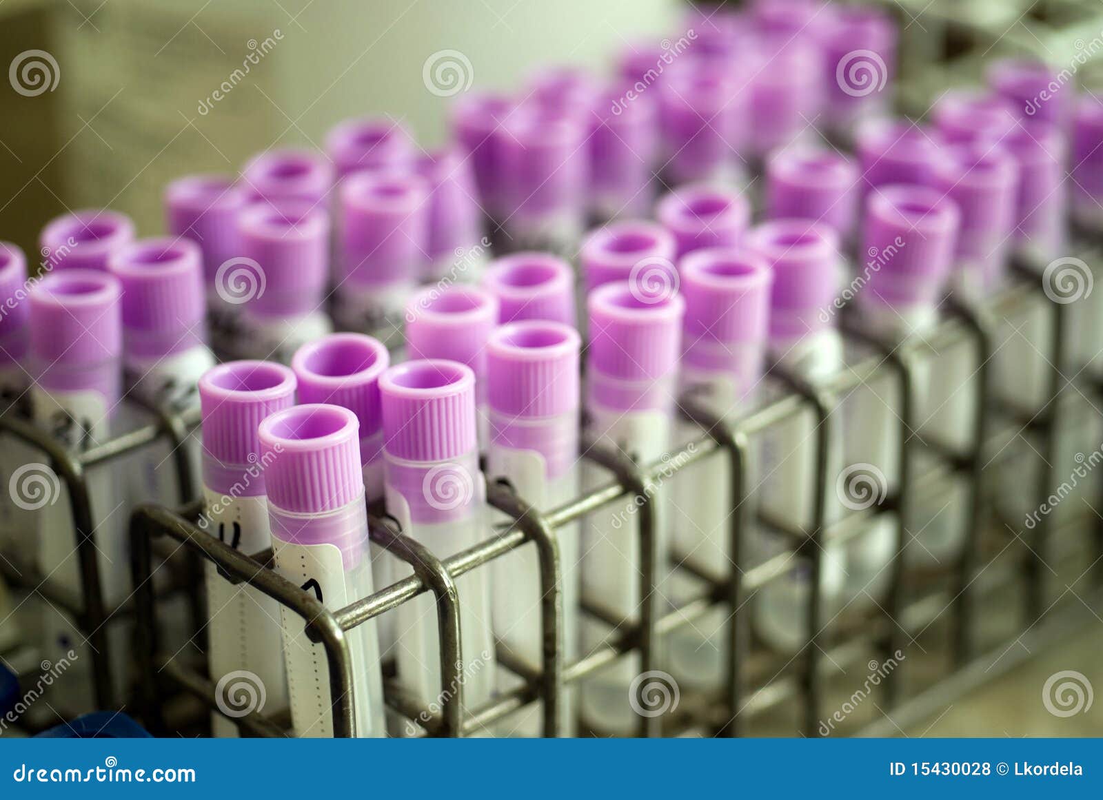 Test tubes in metal rack stock photo. Image of hospital - 15430028