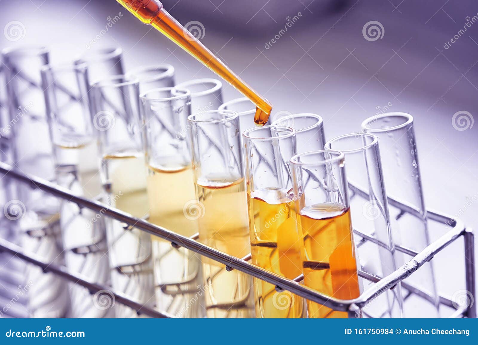 Test Tubes and Orange Liquid in Flask in Science Laboratory Stock Photo ...