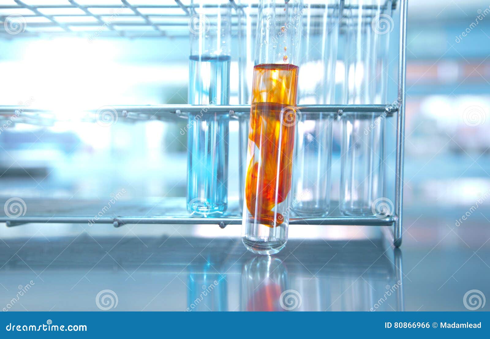Test Tubes with Orange Solution in Metal Rack in Lab Science Stock ...