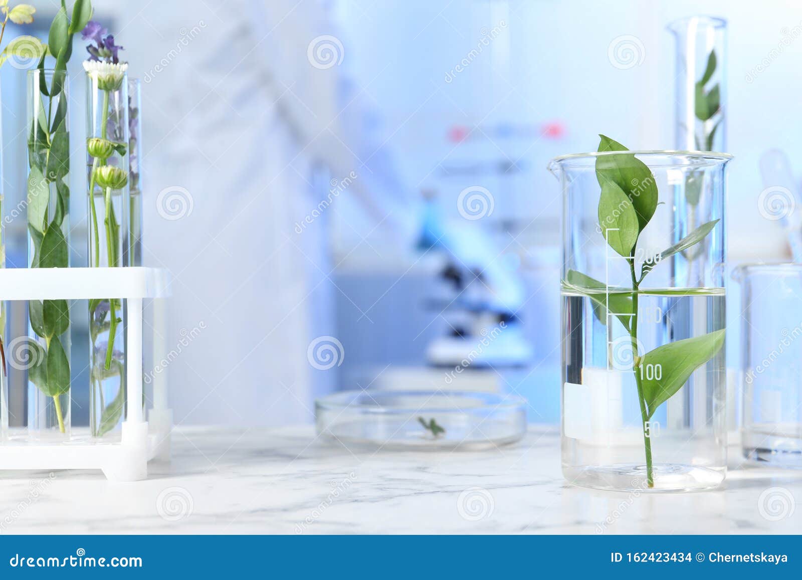 Test Tubes and Other Laboratory Glassware with Plants on Table Indoors ...
