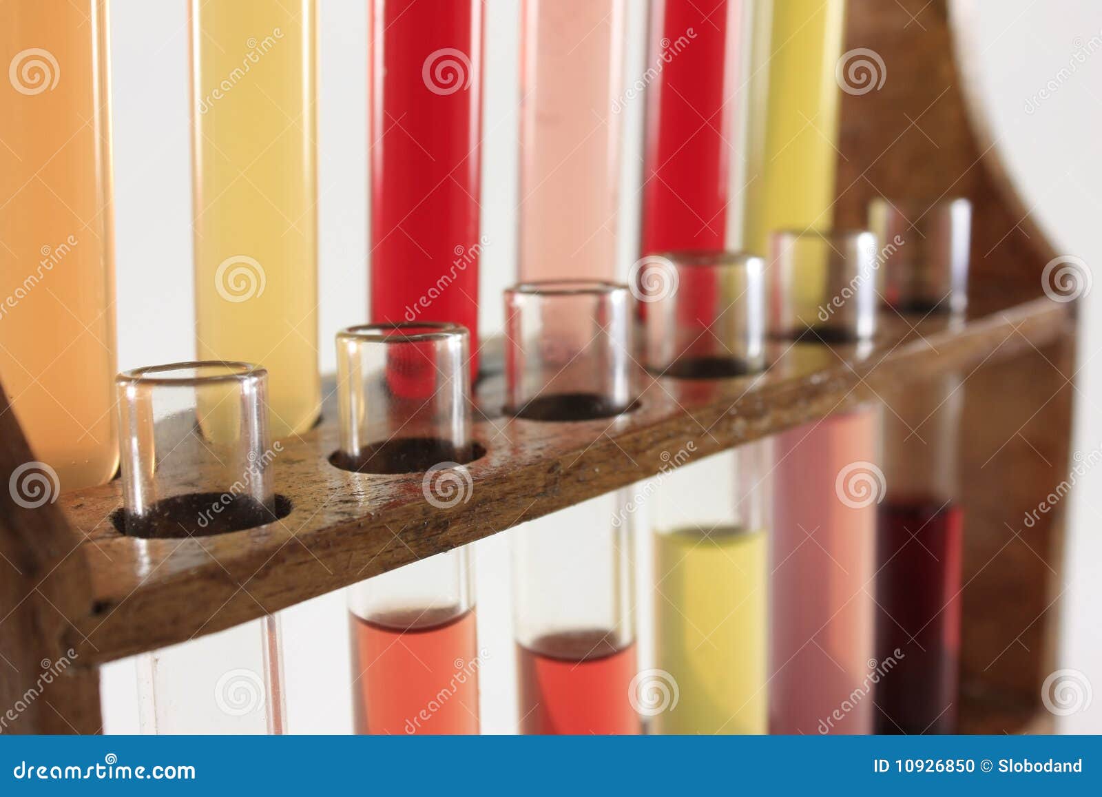 Test tubes in a rack stock photo. Image of research, laboratory - 10926850