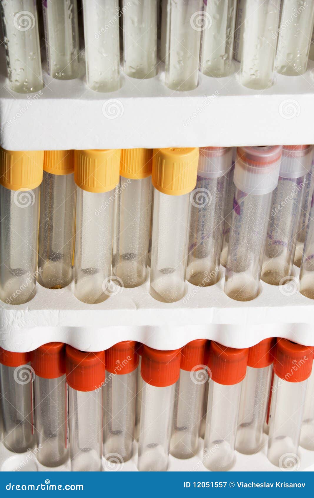 Test tubes in rack stock image. Image of healthcare, forensic - 12051557