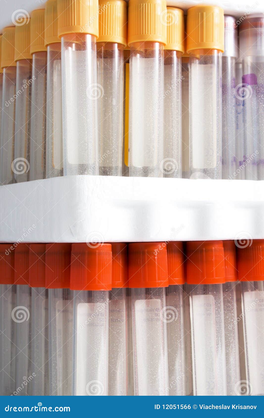 Test tubes in rack stock photo. Image of microbiology - 12051566