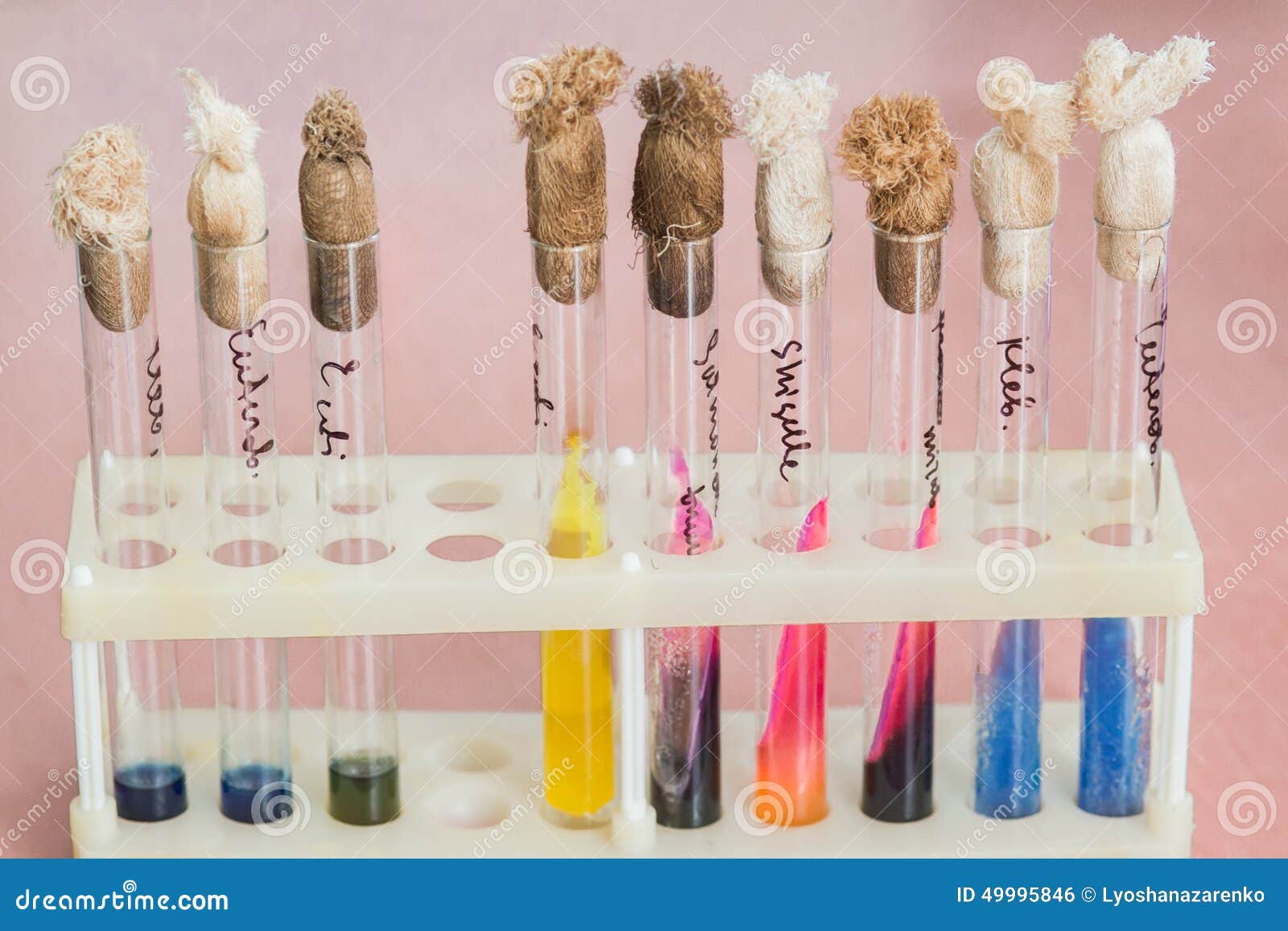 Test tubes on a rack stock photo. Image of biohazard - 49995846