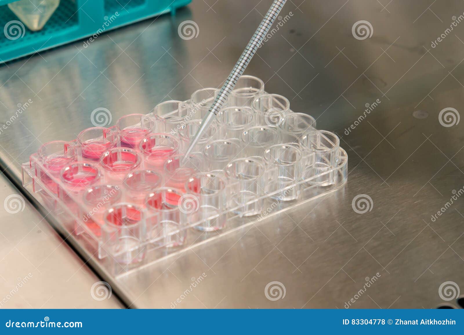 Test tubes with reagents stock photo. Image of microscope - 83304778
