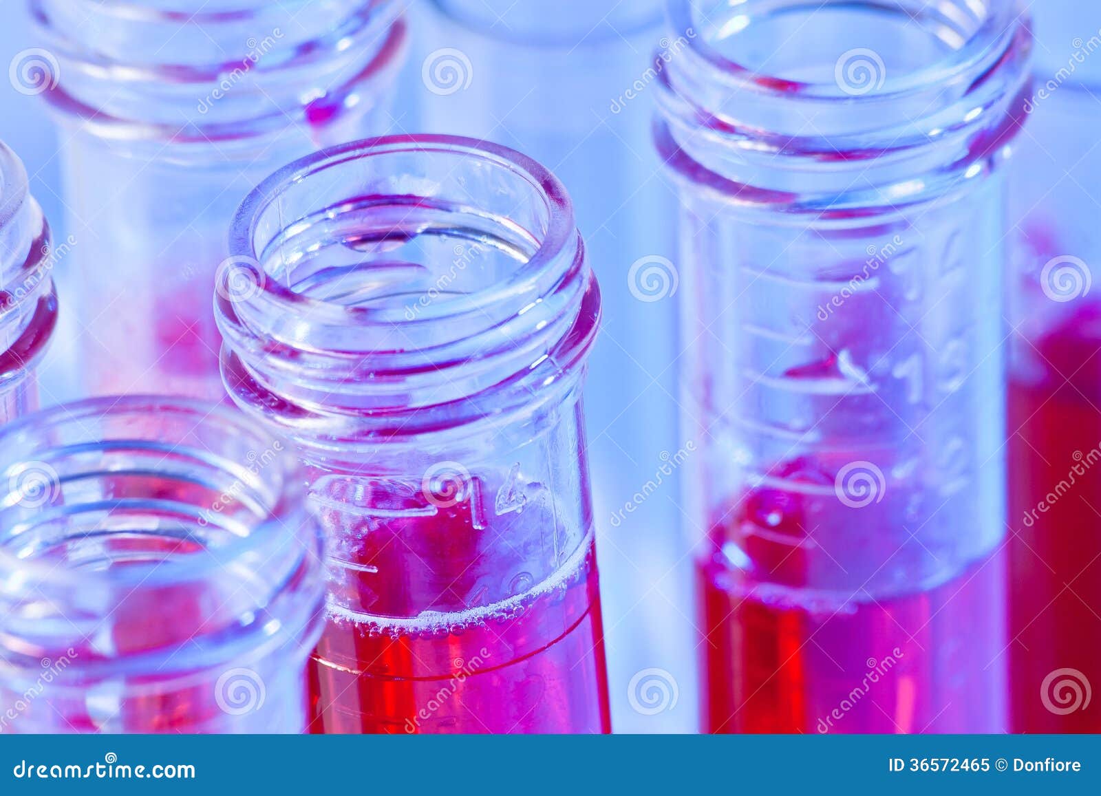 Test Tubes with Red Liquid in Laboratory Stock Image - Image of care ...