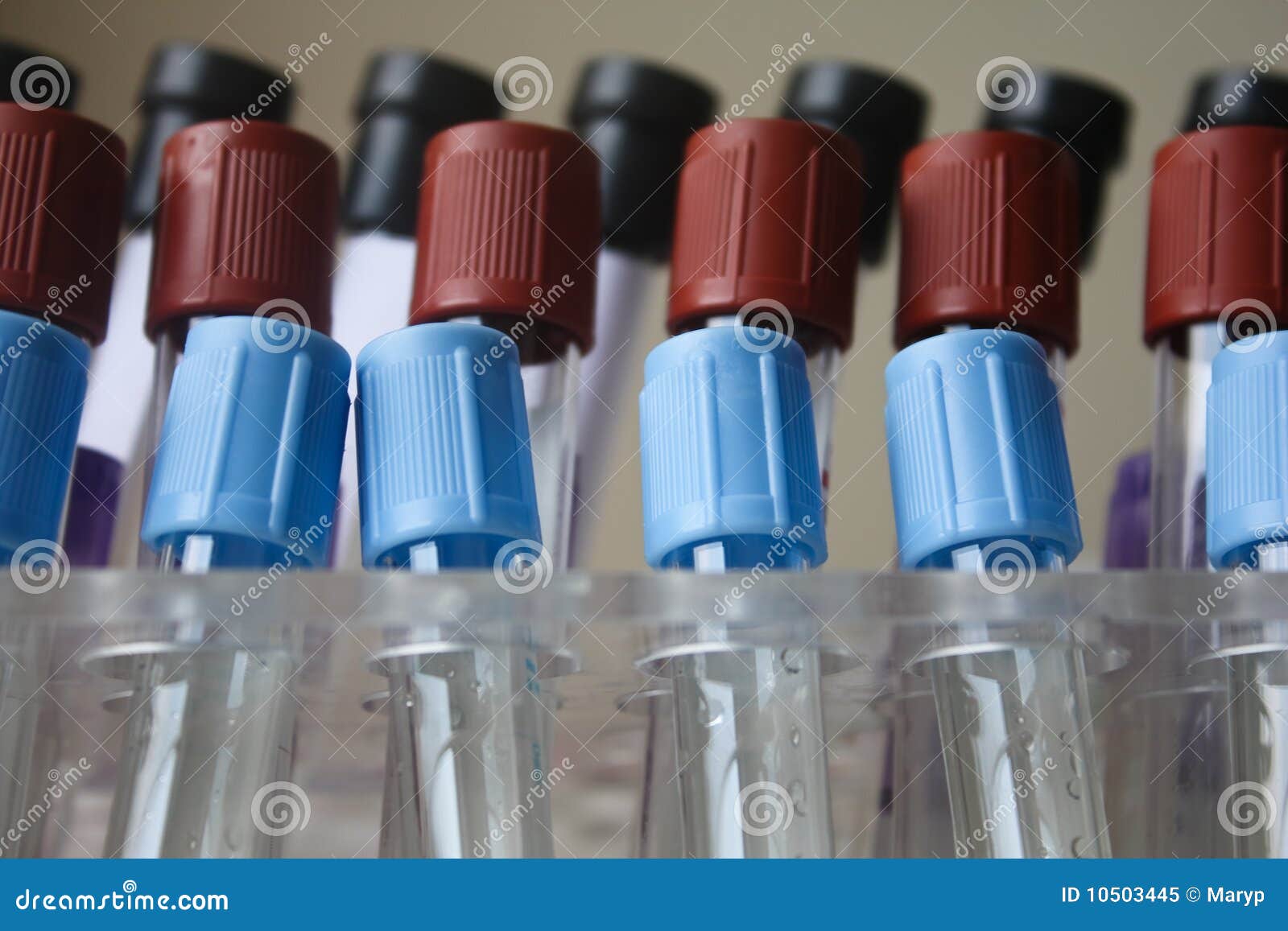 Test tubes in a row stock image. Image of biotechnology - 10503445