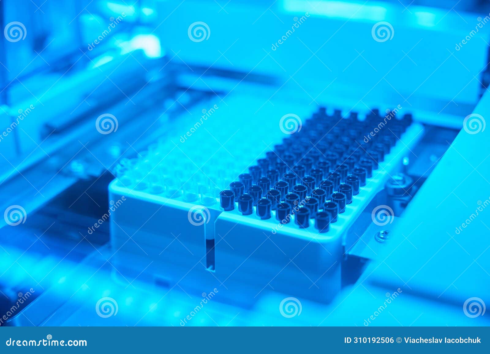 Test Tubes with Samples for Analysis in a Special Apparatus Stock Photo ...
