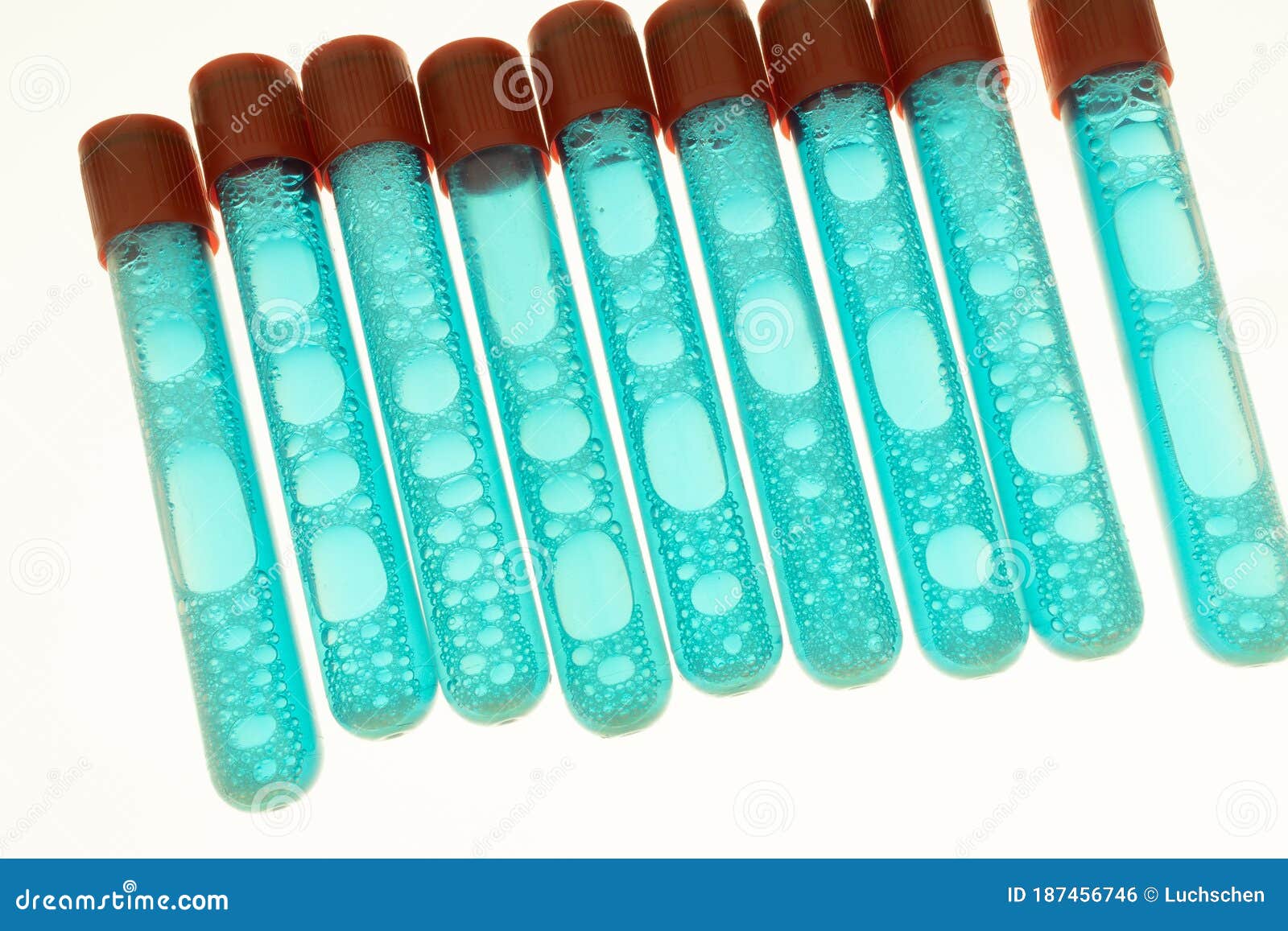 Test Tubes with Samples of Biomaterials Stock Photo - Image of ...